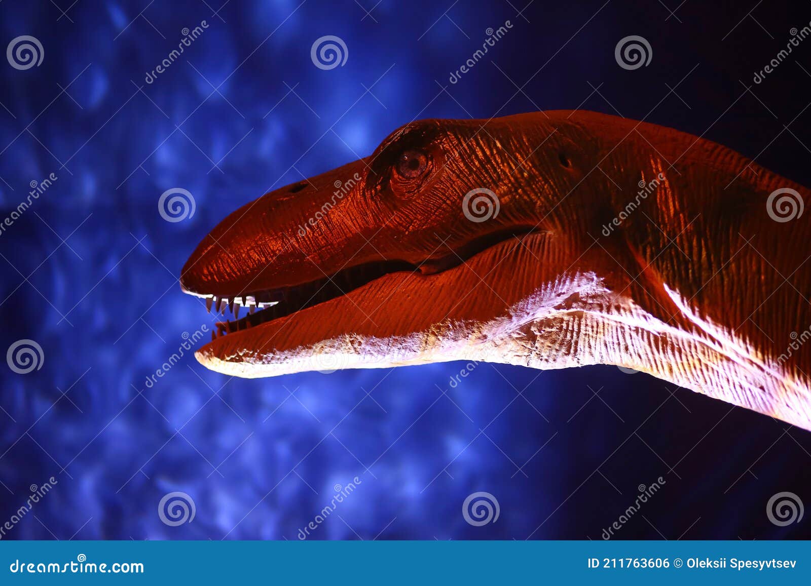 Profile Portrait of a Plastic Dinosaur Head Stock Photo - Image of ...