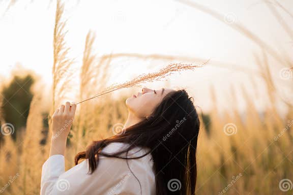 Profile Portrait Of A Pretty Girl Posing In The Pampas Grass Field In