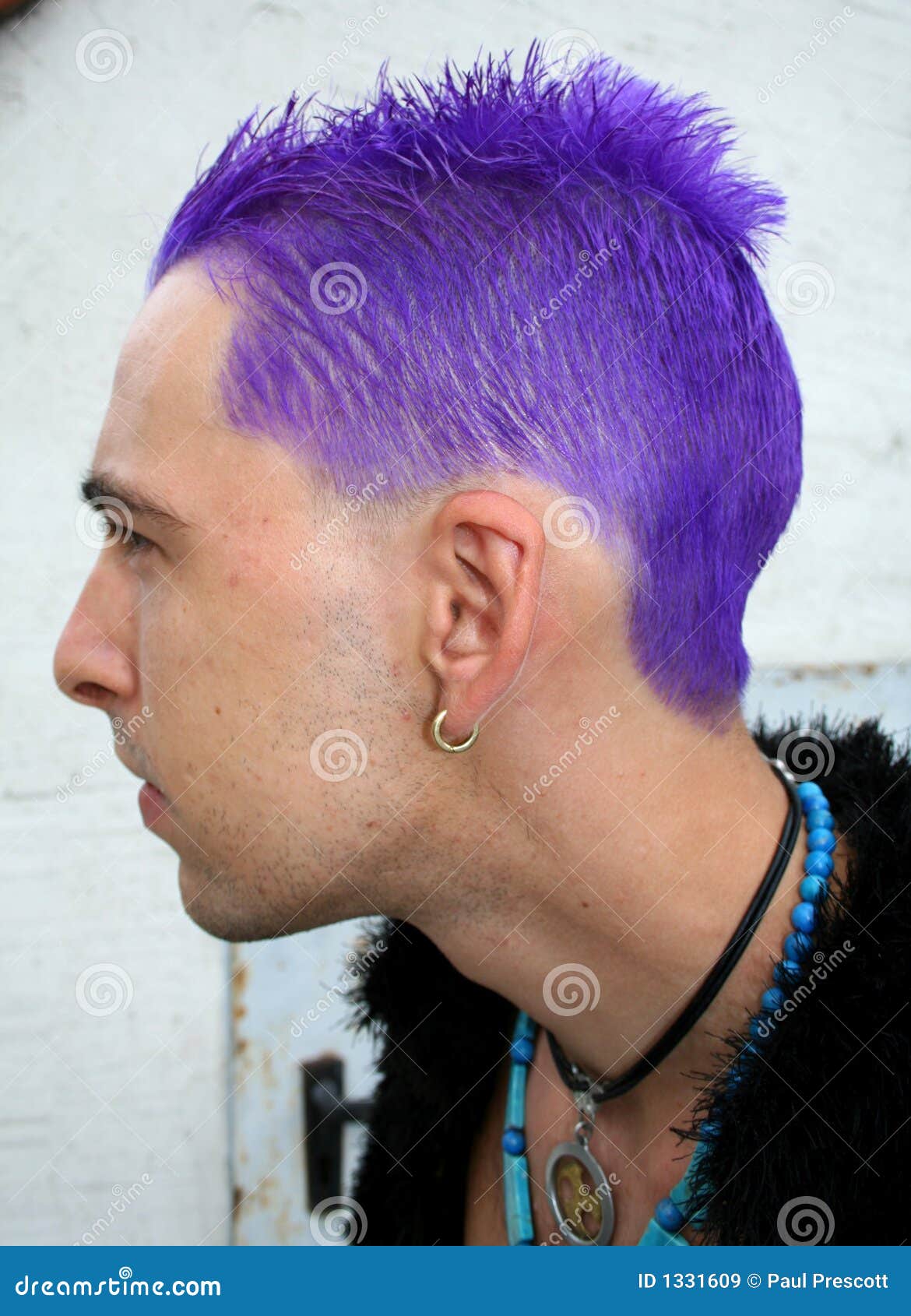Profile punk stock image. Image of alternative, colour - 1331609