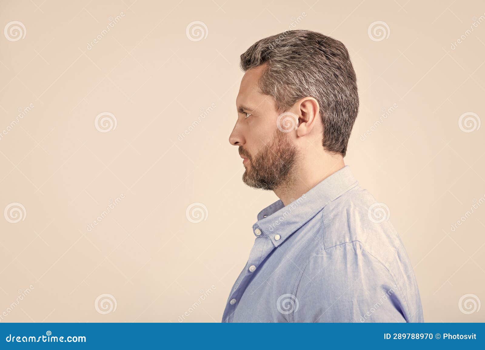 Profile View of Bearded Man with Beard on Grey Background. Bearded Man ...