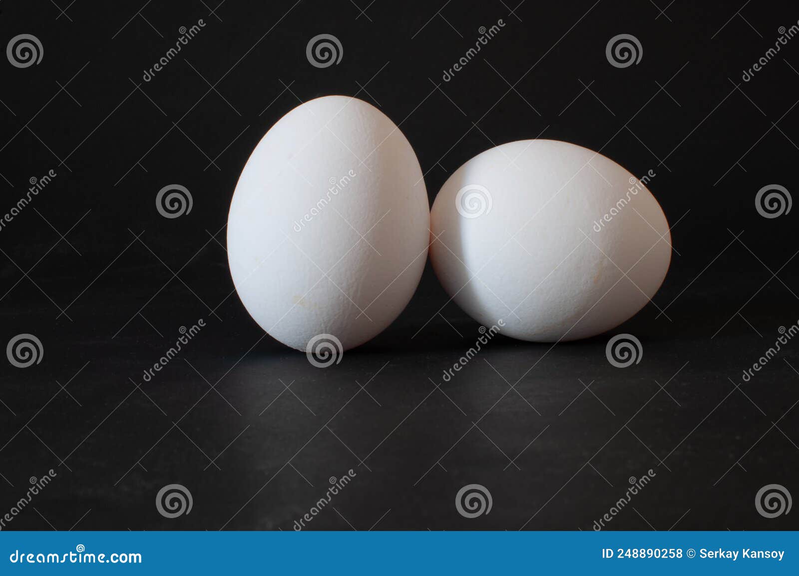 Profile View of Fresh Organic White Chicken Eggs Isolated on Dark ...