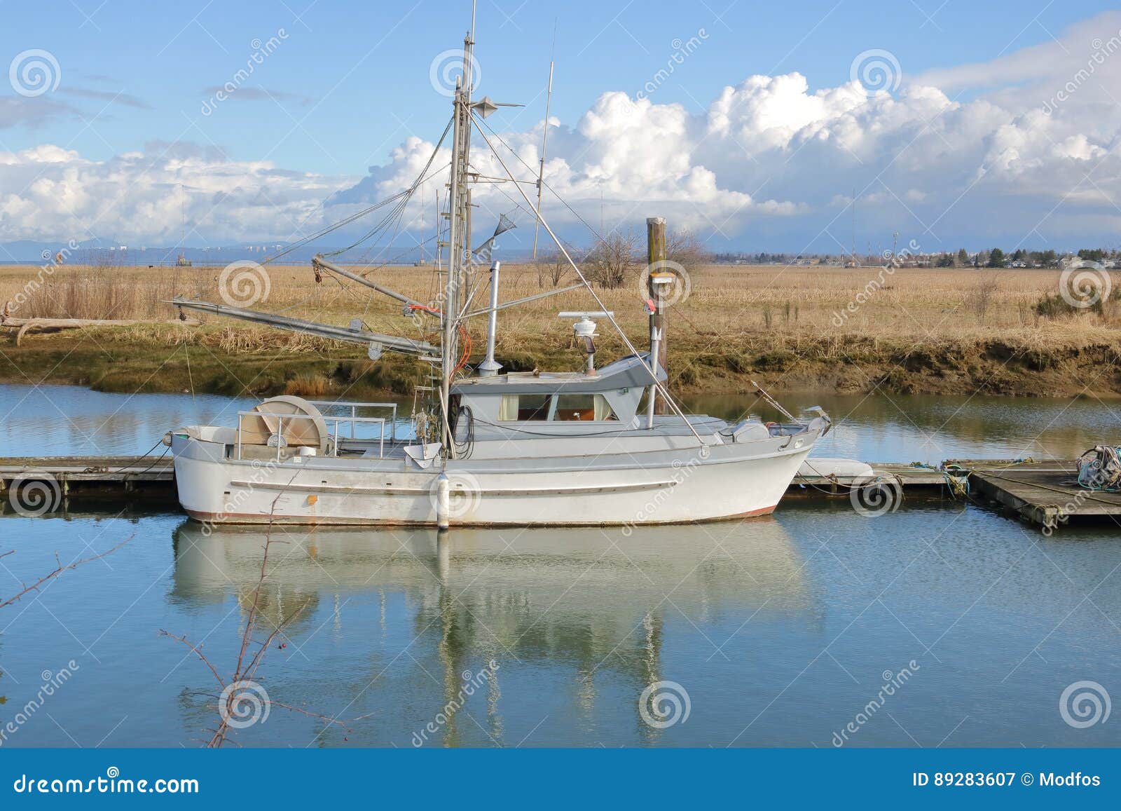 Profile View of Small Gill Netter Stock Image - Image of bright, cloud ...
