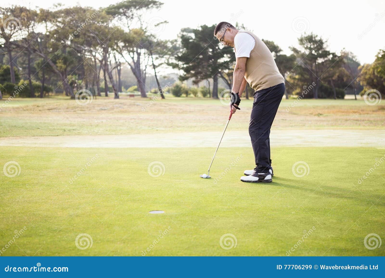 Profile View of Sportsman Playing Golf Stock Image - Image of mature ...