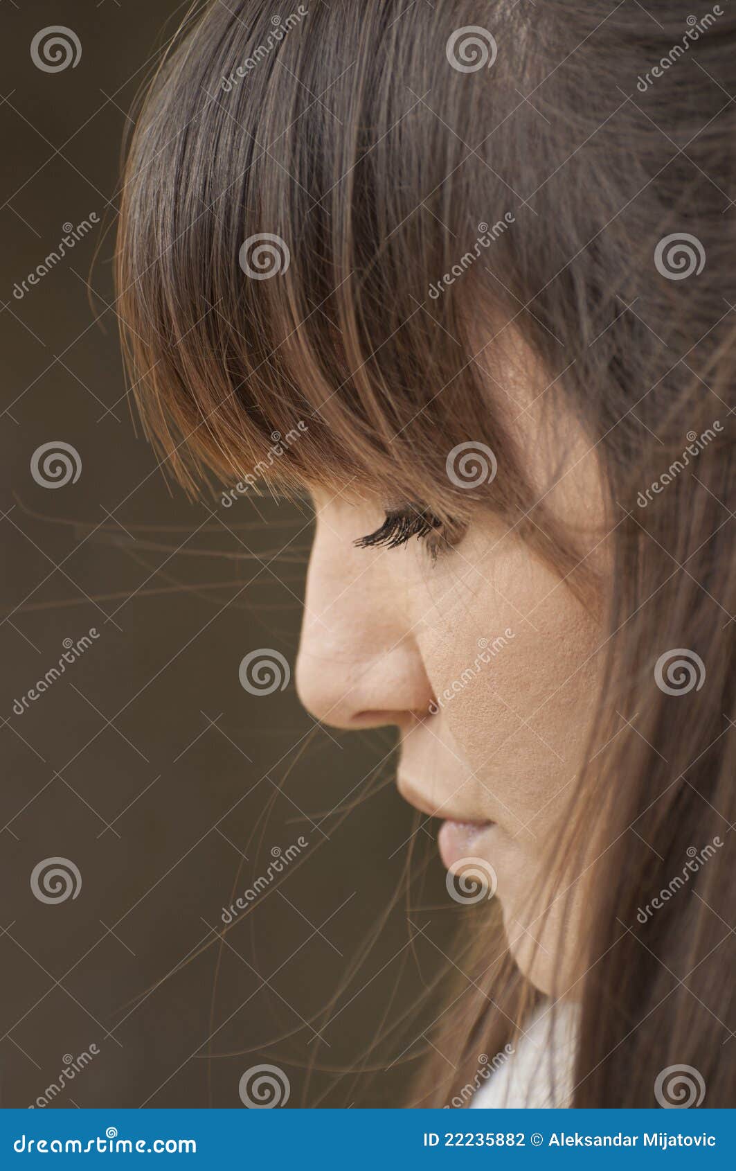 Profile of a woman stock photo. Image of fashion, lips - 22235882