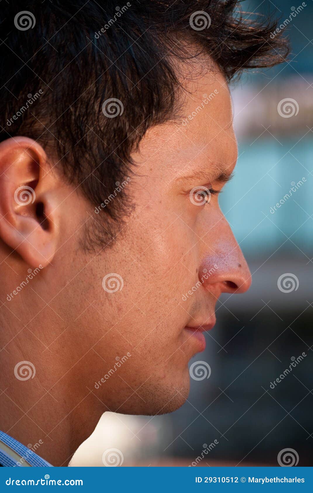 Profile of a Young Man stock photo. Image of masculine - 29310512
