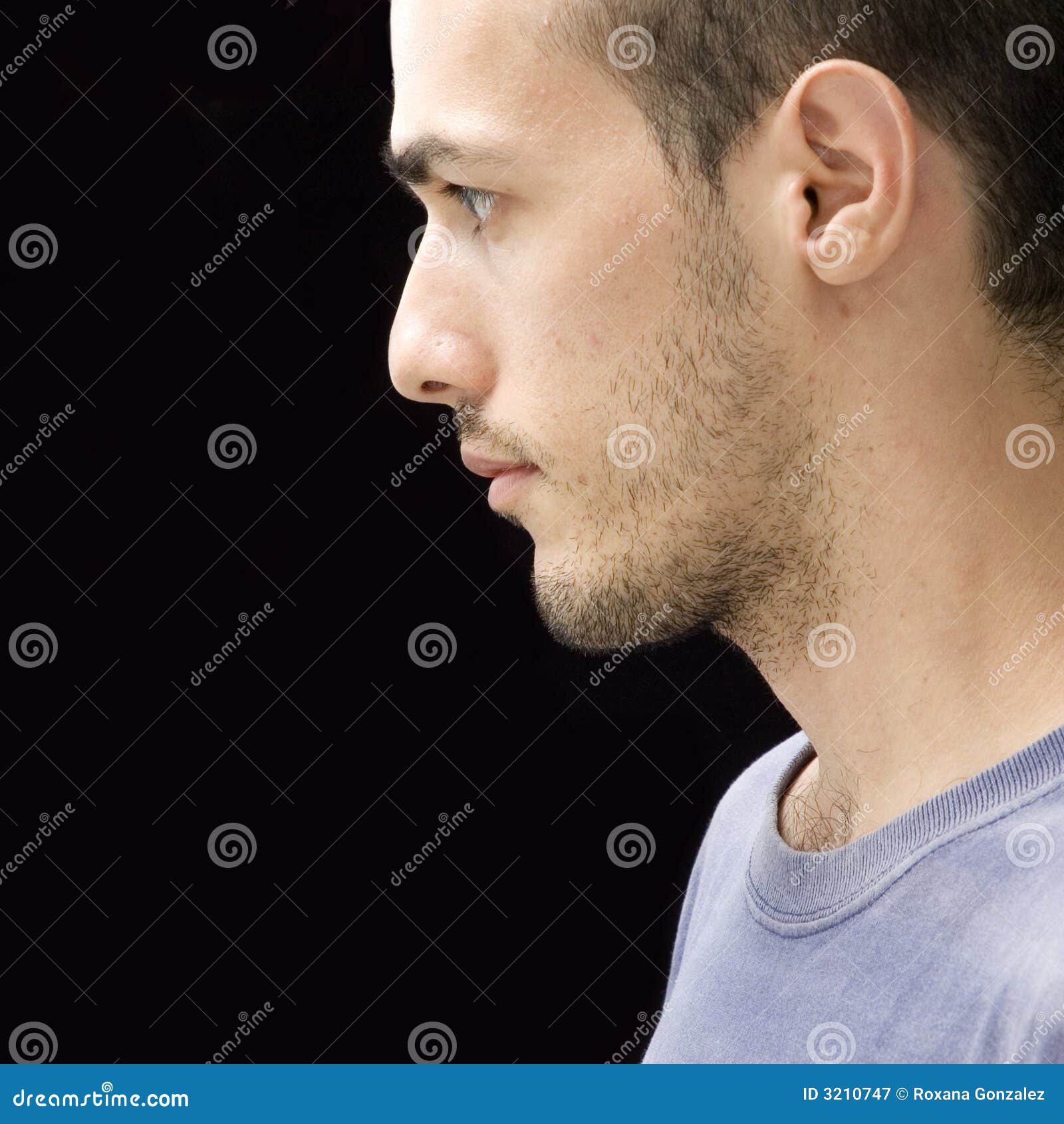 Profile of a young man stock image. Image of isolated - 3210747