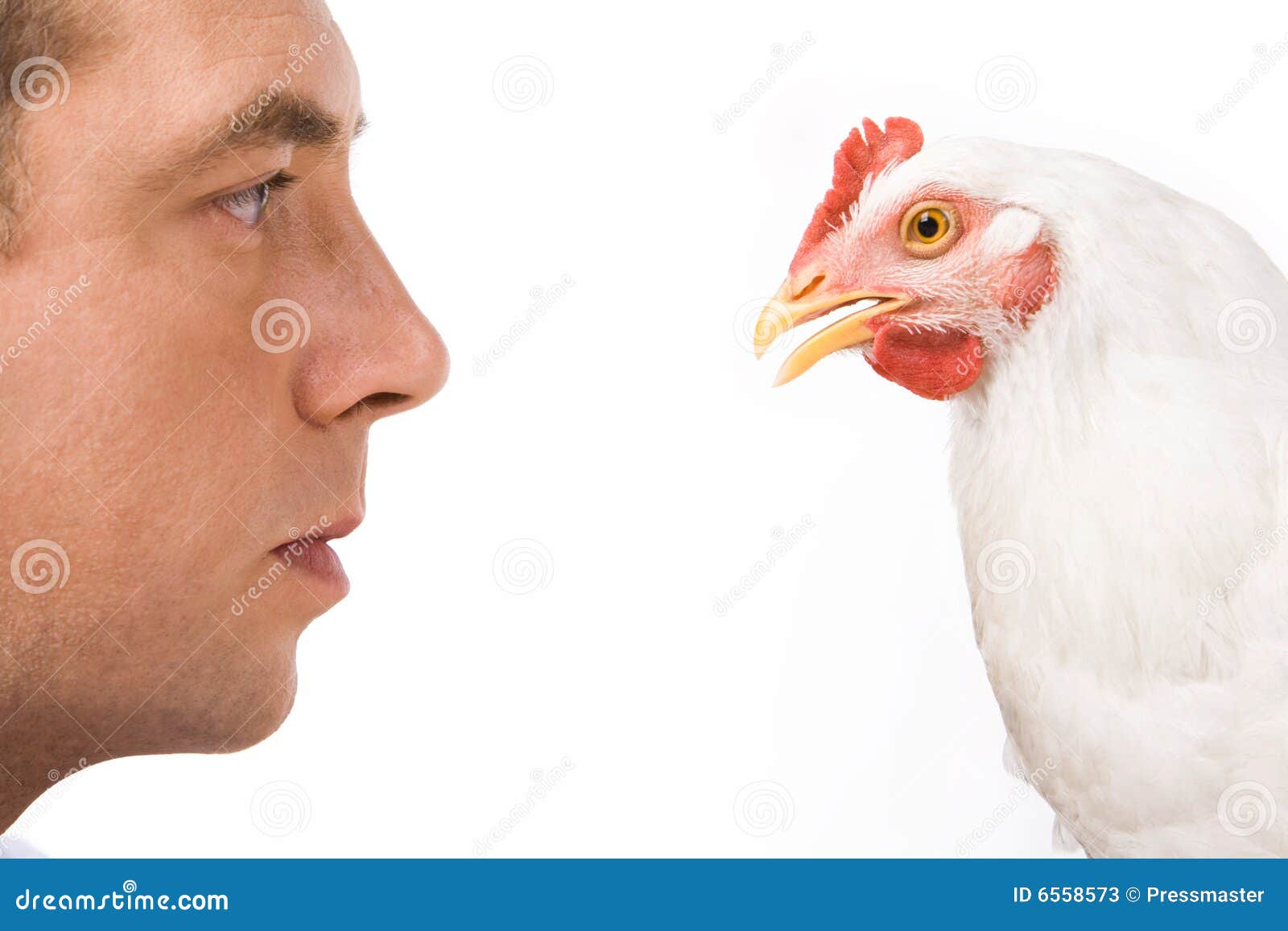 Profiles of man and hen stock image. Image of agriculture - 6558573