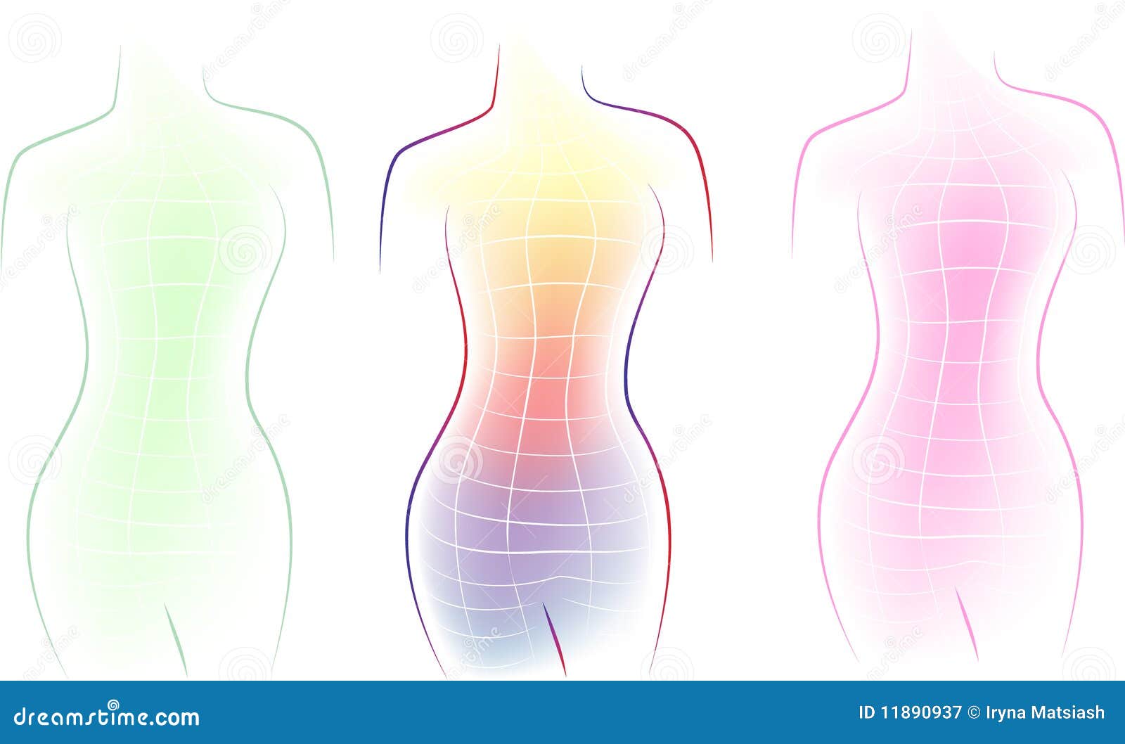 Profilo Di Un Corpo Femminile Illustrazione Vettoriale - Illustrazione ...