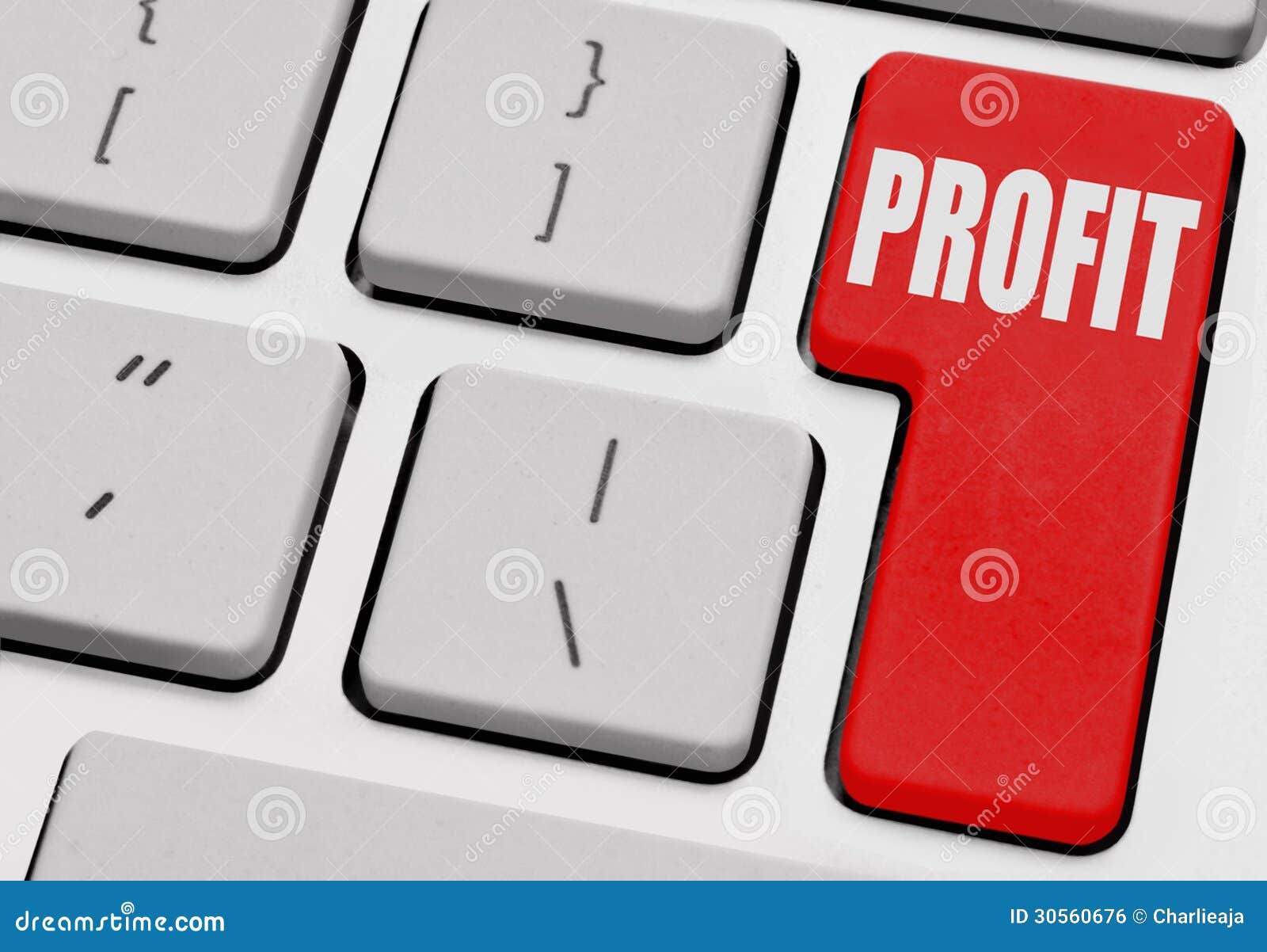 Profit stock photo. Image of concept, online, finance - 30560676
