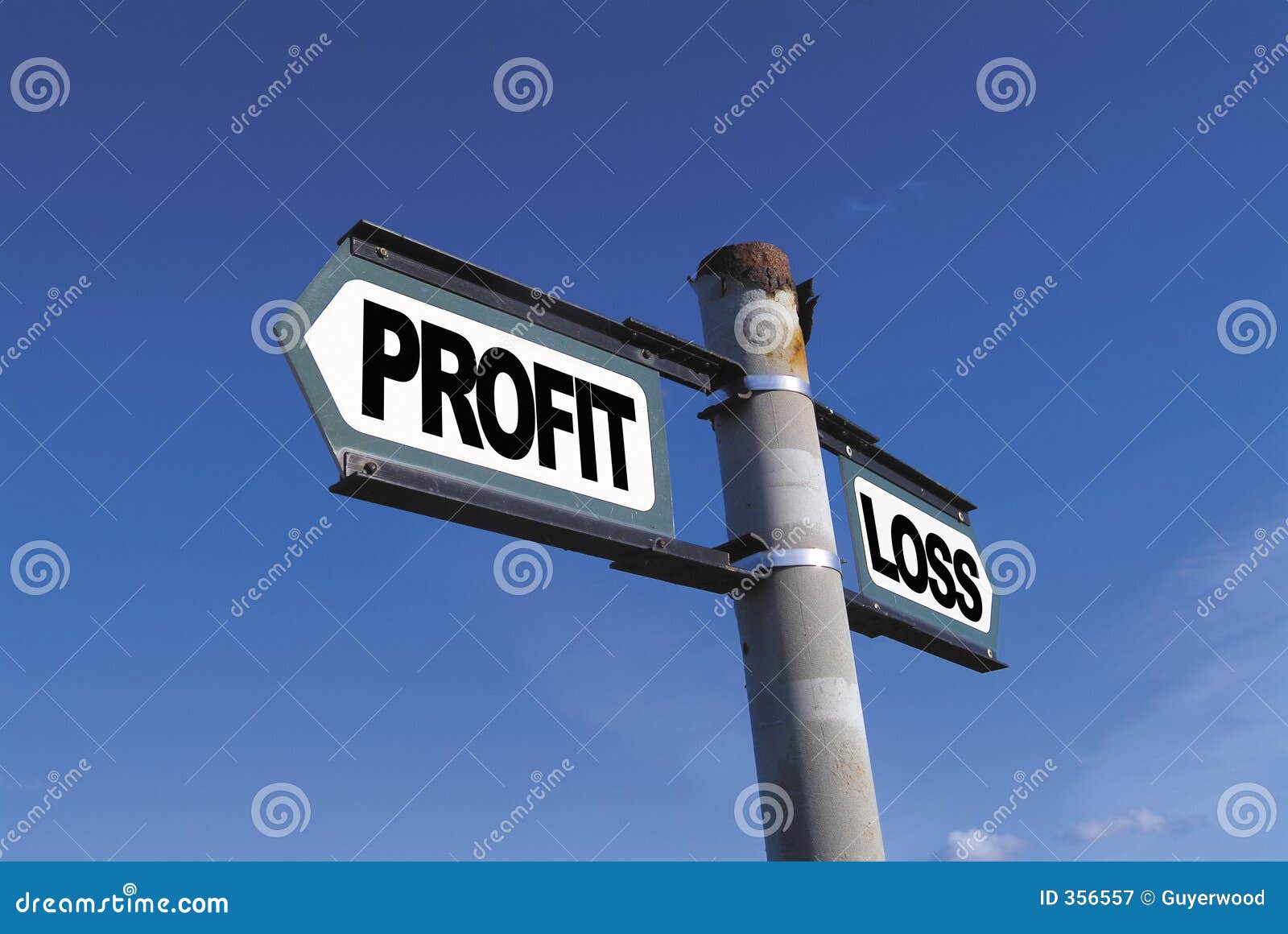 Profitto o perdita immagine stock. Immagine di segno, perdita - 356557