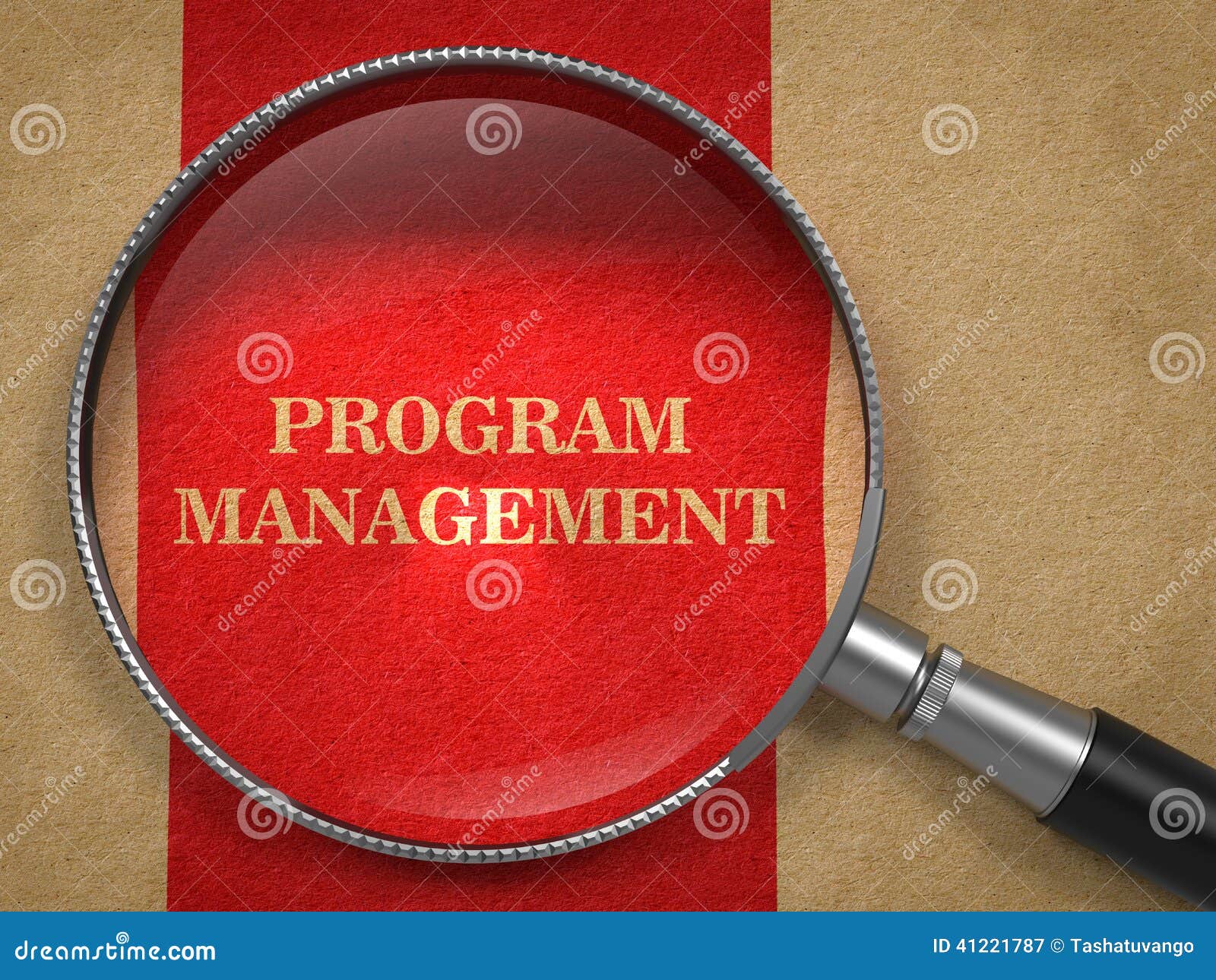 Program Management Concept through Magnifying Stock Image - Image of ...
