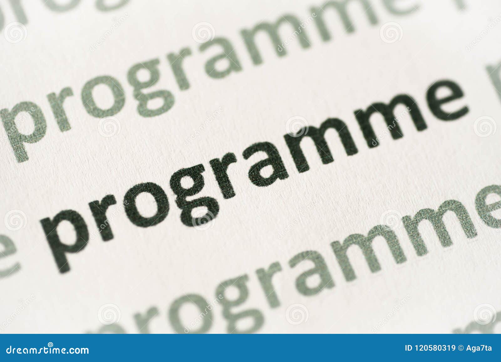 Programa De La Palabra Impreso En La Macro De Papel Imagen de archivo ...