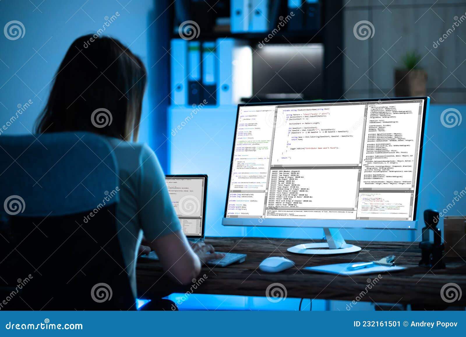 Programadora Mujer Codificando En Computadora Imagen de archivo - Imagen de surf, muchacha ...