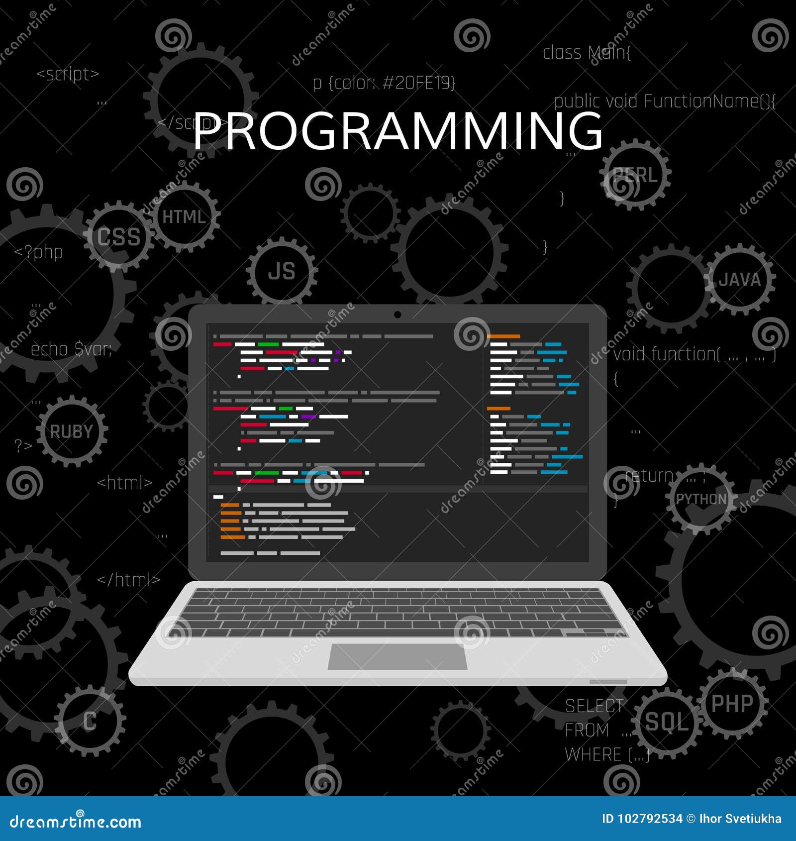 Programmazione E Codificare Concetto Di Sviluppo Web Vettore ...