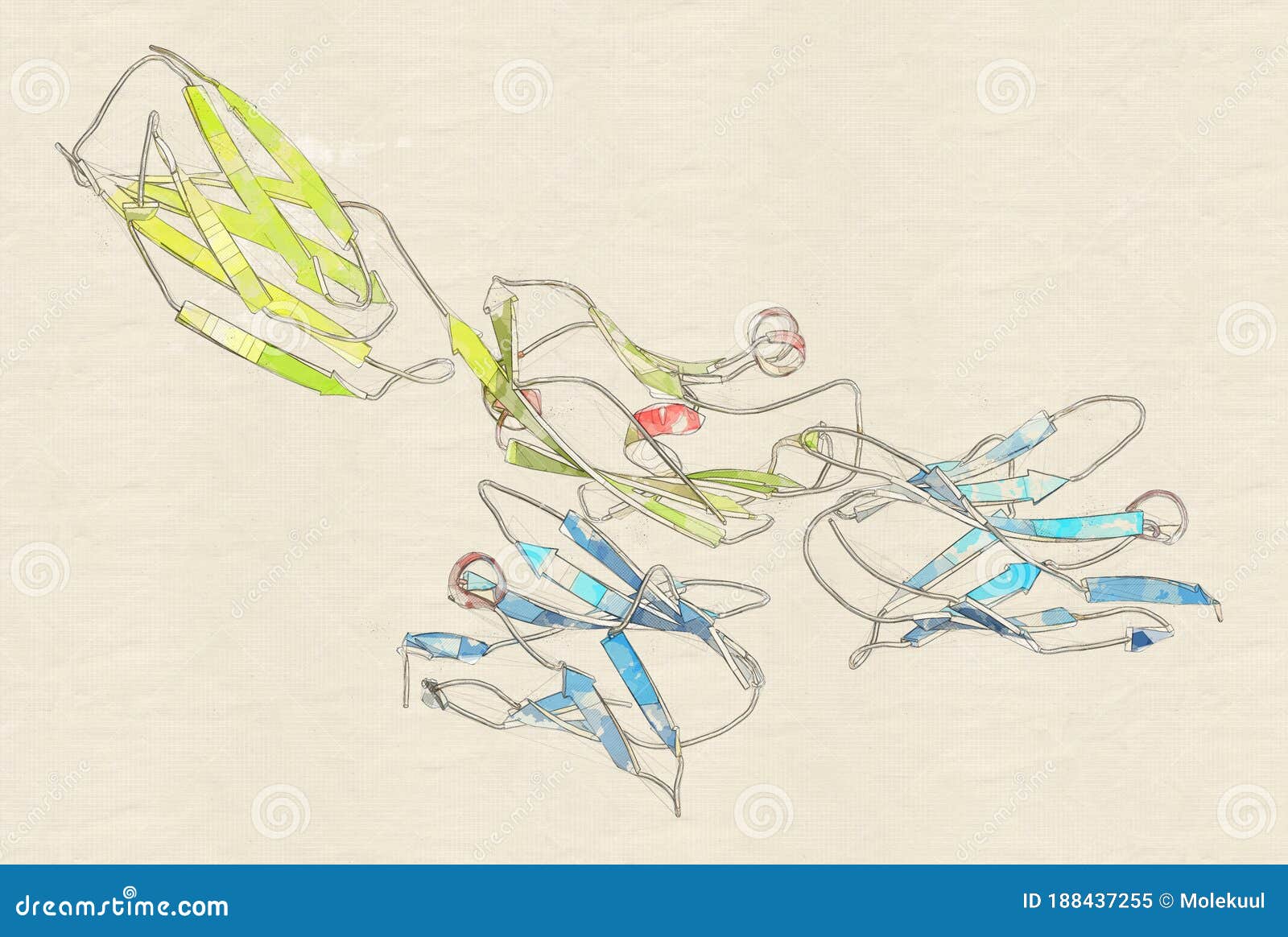 Programmed Cell Death 1 (PD-1, CD279) Receptor Protein. PD-1 Is A Major ...