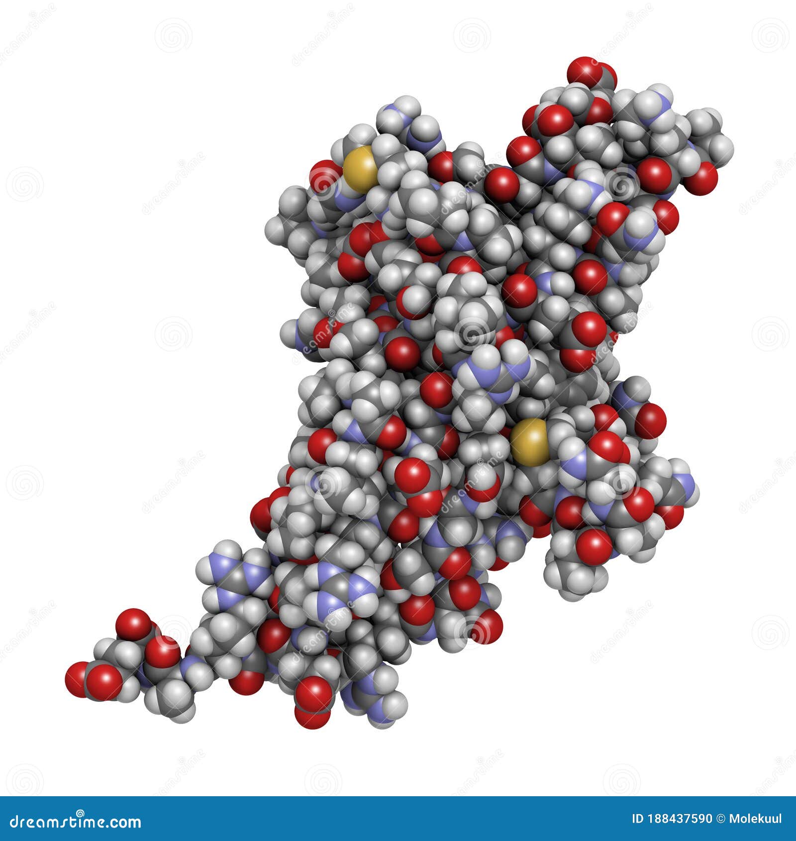 Programmed Cell Death 1 (PD-1, CD279) Receptor Protein, 3D Rendering ...