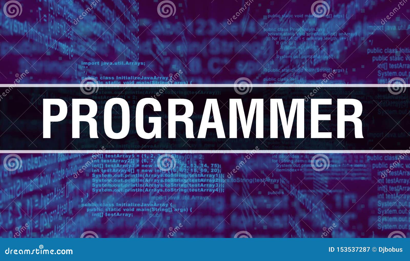 Programmer With Digital Java Code Text Programmer And Computer Software Coding Vector Concept