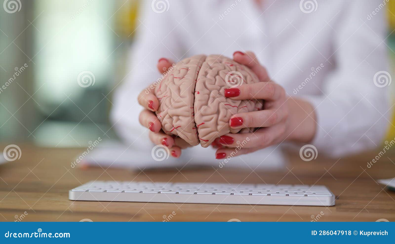 Programmer Manager Puts Brain Anatomy on Computer Keyboard Stock Photo ...