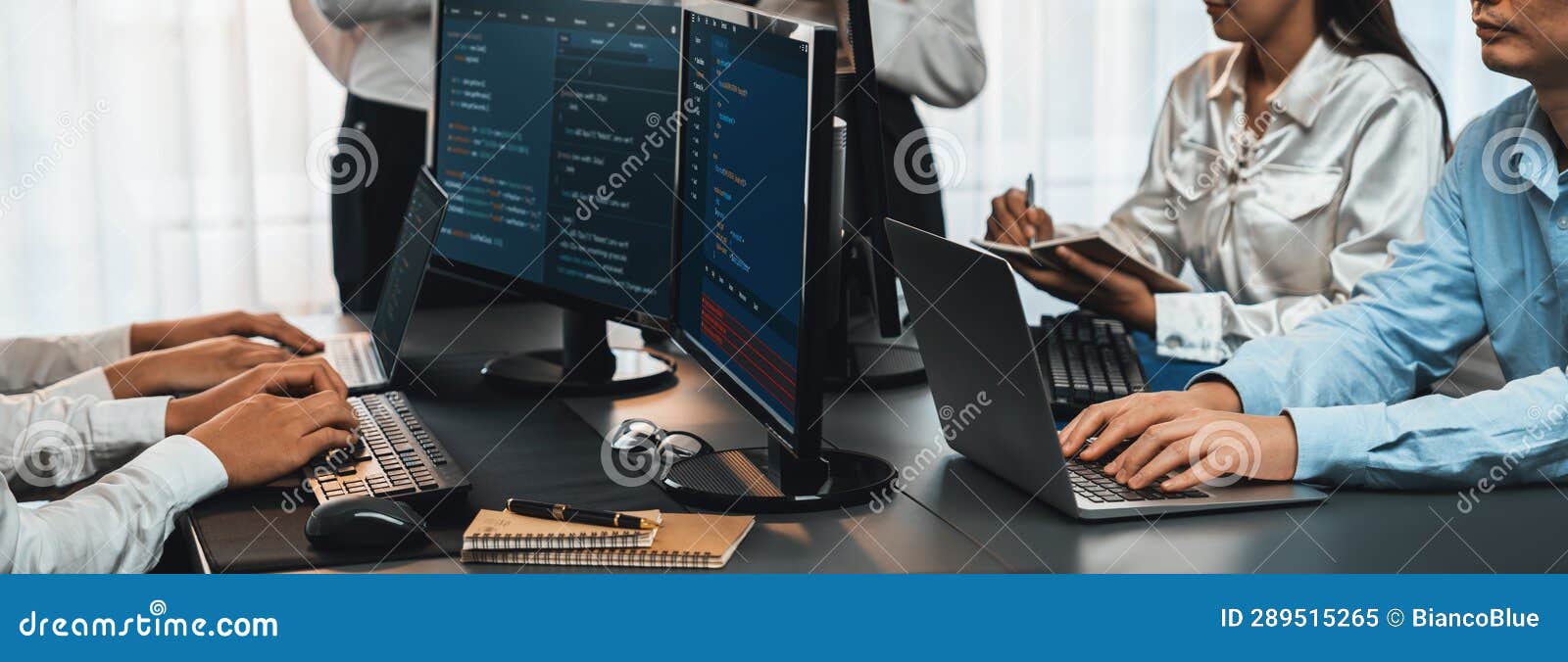 Programmer and Software Engineer Working in Tech Develop Company ...