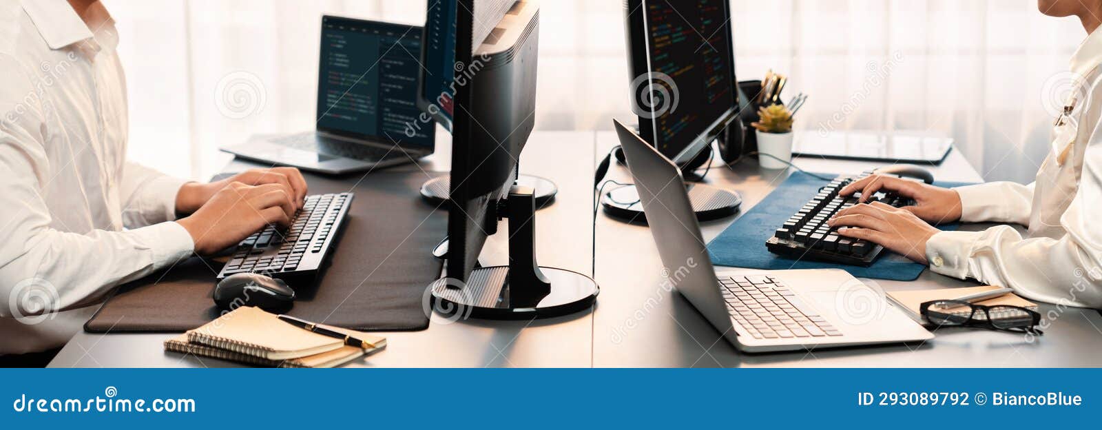 Programmer and Software Engineer Working in Tech Develop Company ...