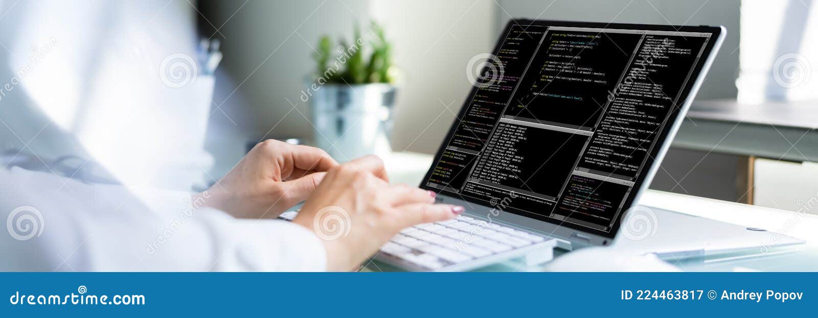 Programmer Woman Coding. Girl Coder Stock Image - Image of panoramic ...