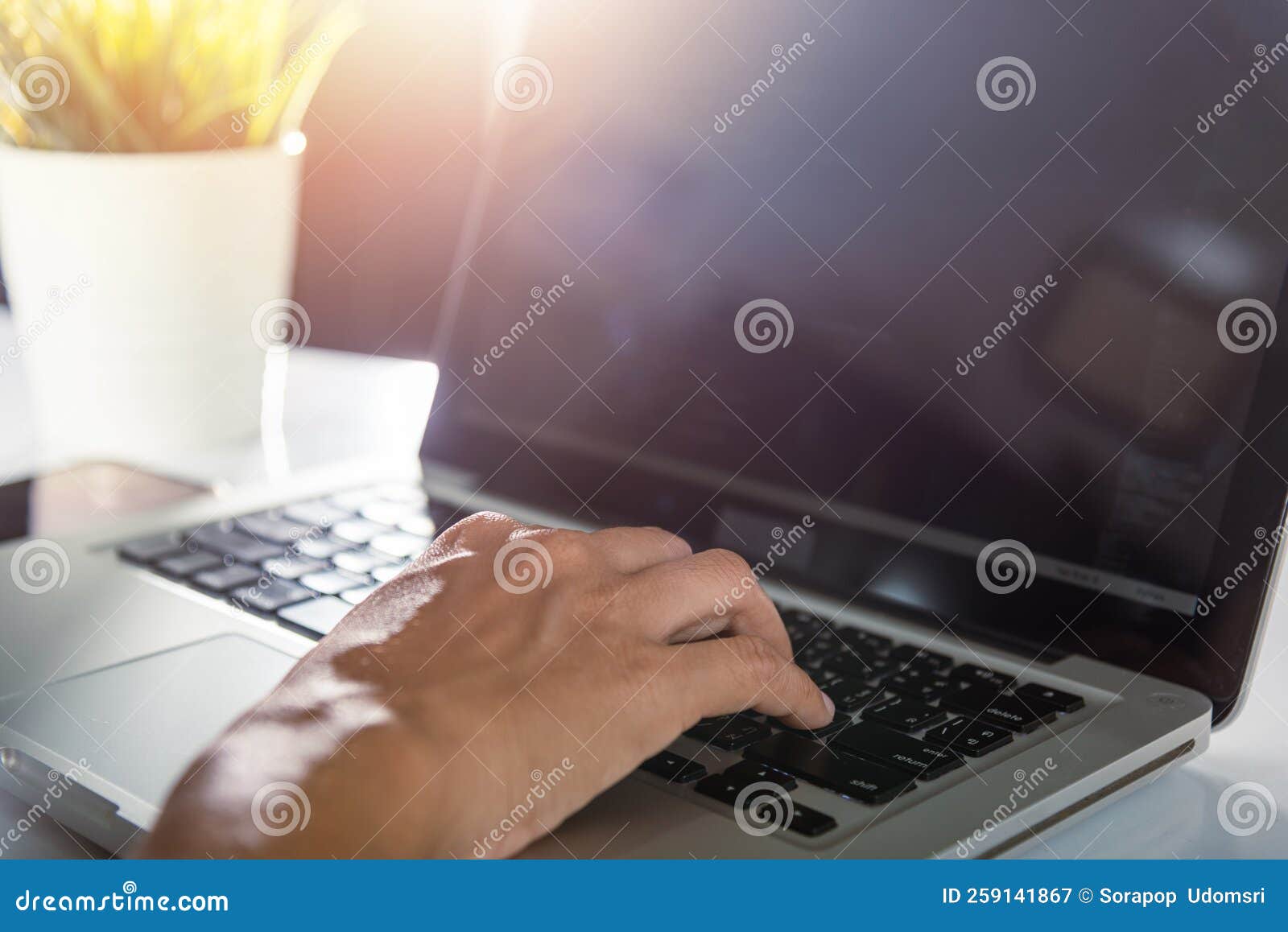 Programmer Woman Writing Program Code Sitting at Workplace in Office ...