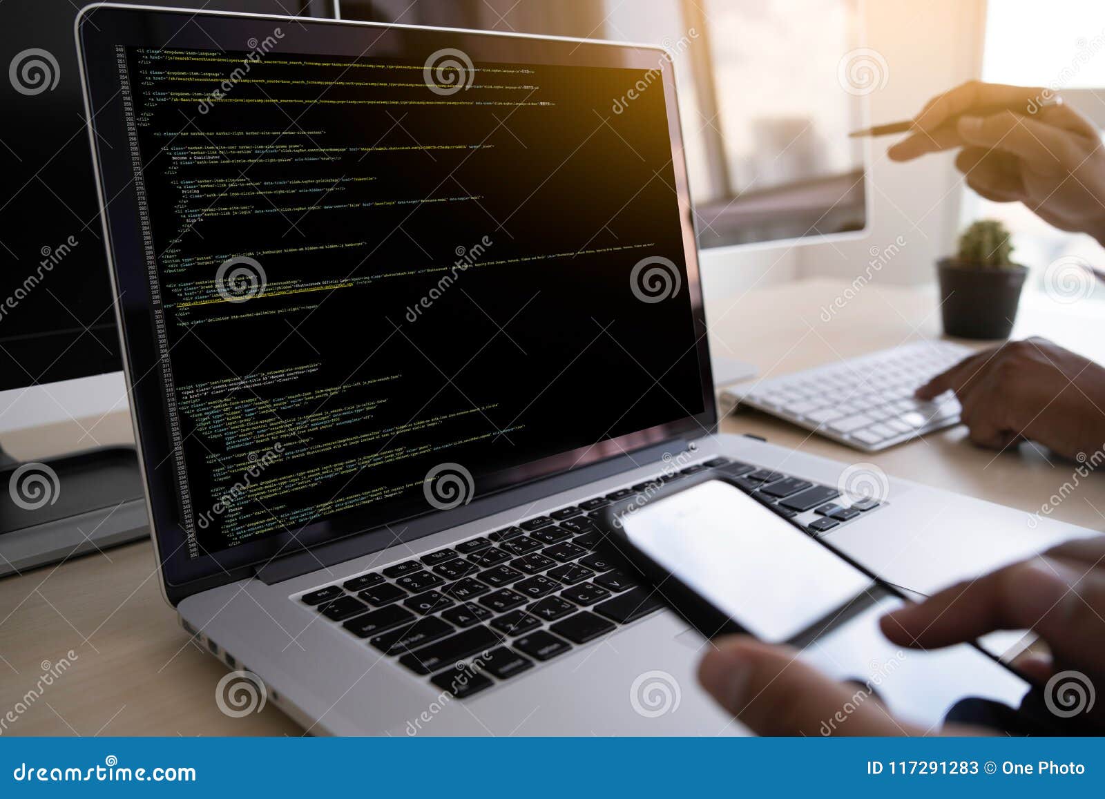 Programmer Working Developing Programming Technologies Web Design 5631