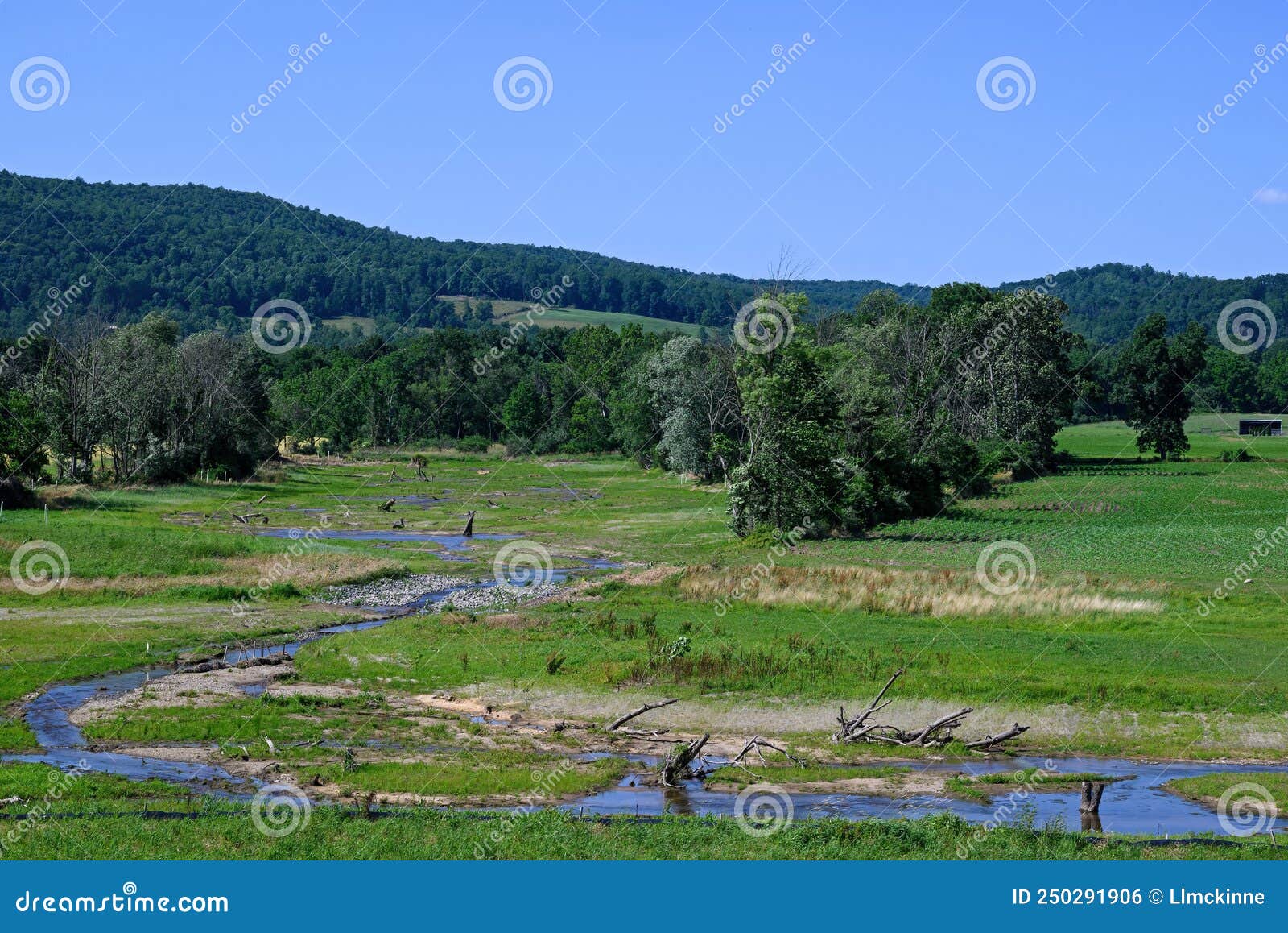 Floodplain Restoration Stock Photos - Free & Royalty-Free Stock Photos ...