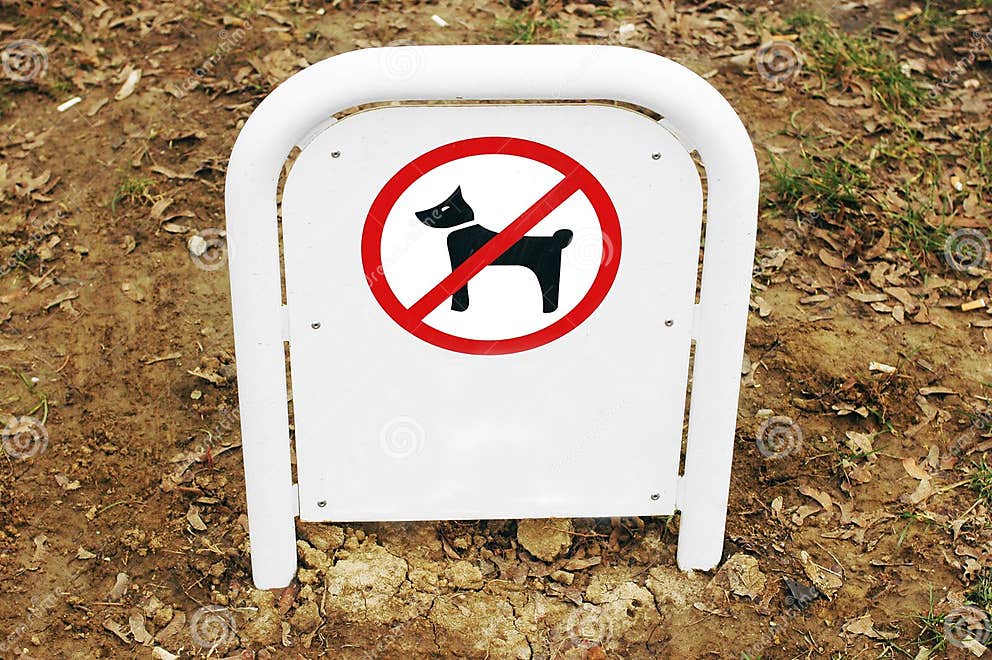 Prohibited area for dogs stock photo. Image of grass - 29307314