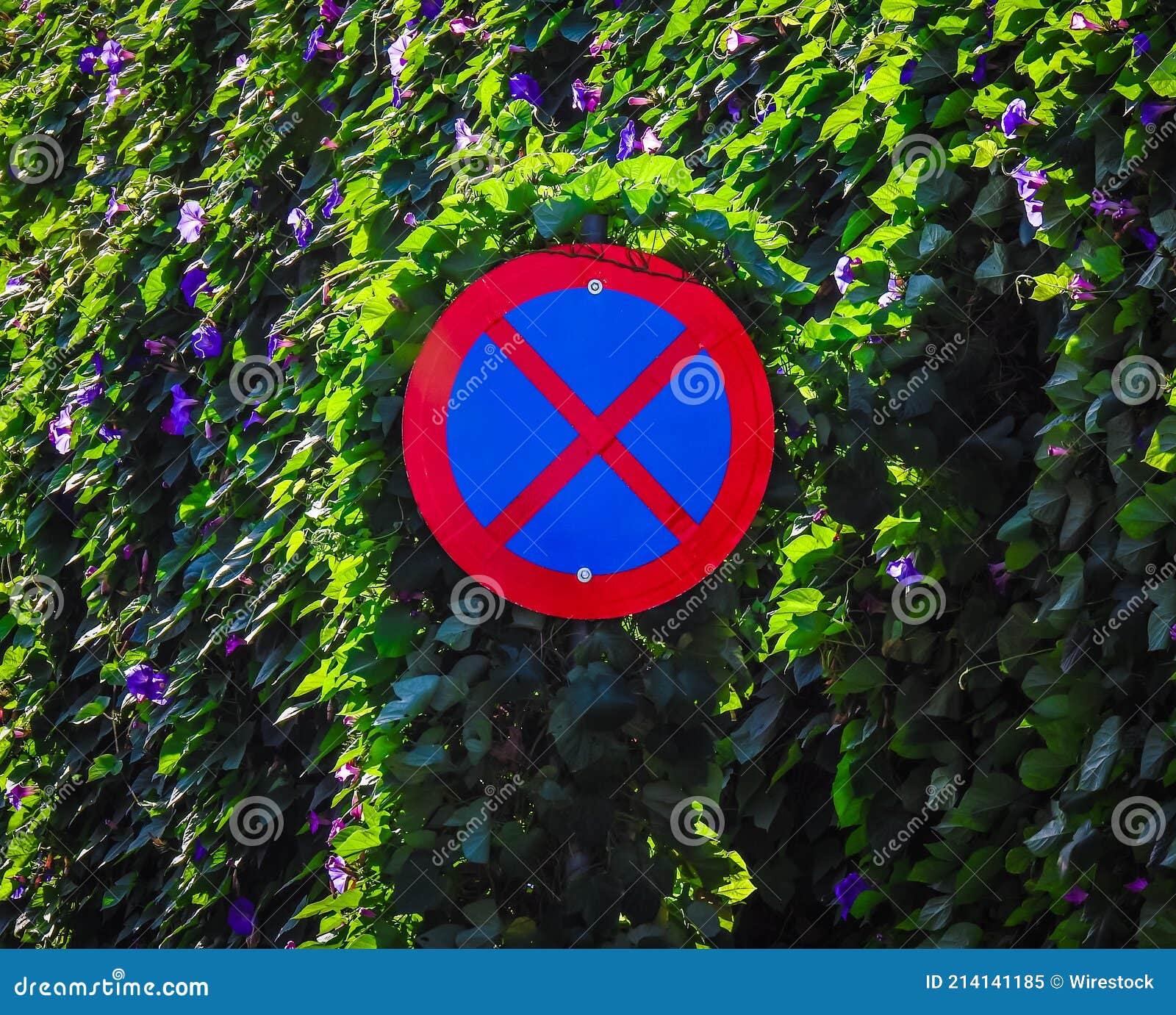 Prohibiting Road Sign on Shrubs Stock Image - Image of prohibit, drive ...