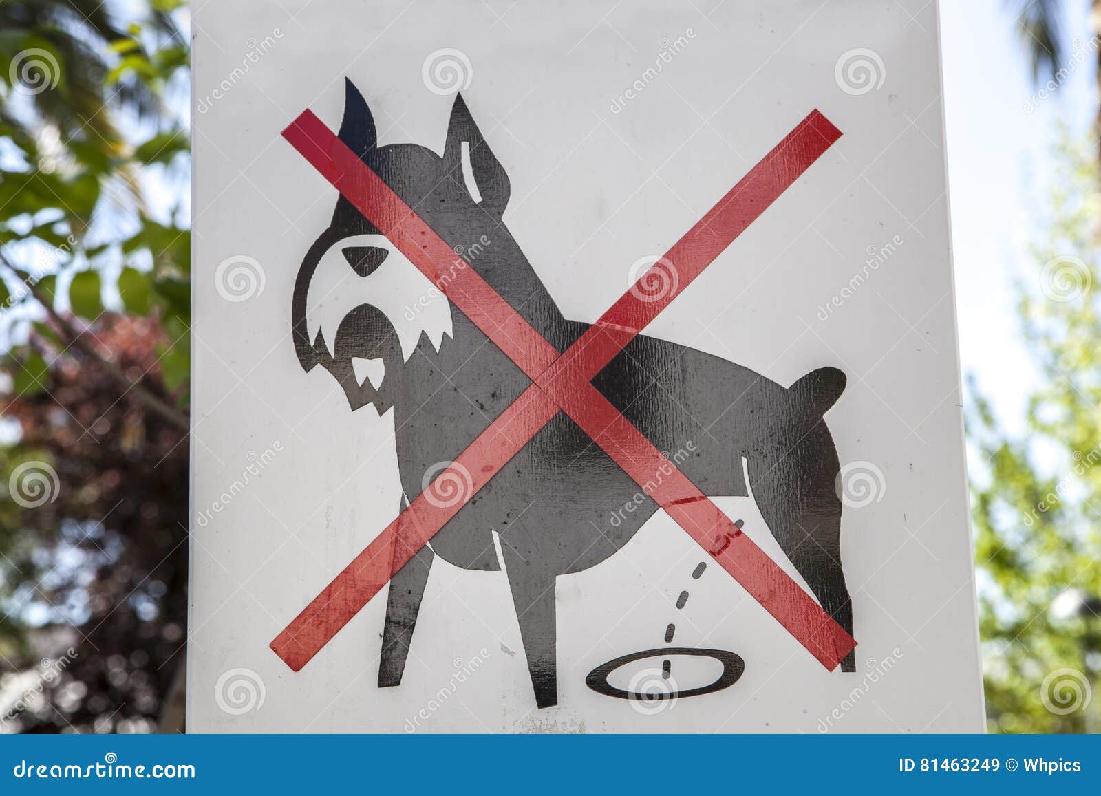 Prohibition Dog Sign Outdoors Stock Image - Image of attention, allowed ...