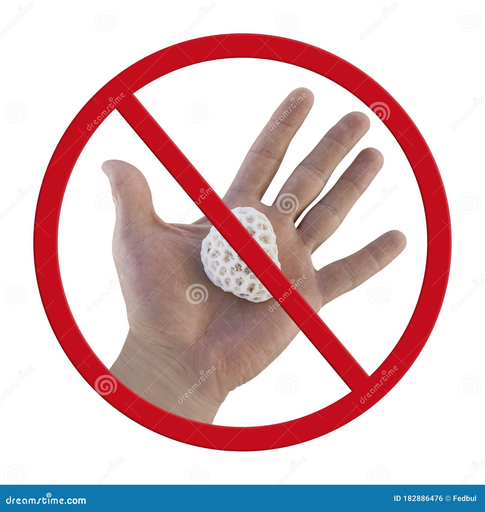 Prohibition Take Coral. Hand with Coral Stone Under Forbiddance Red ...