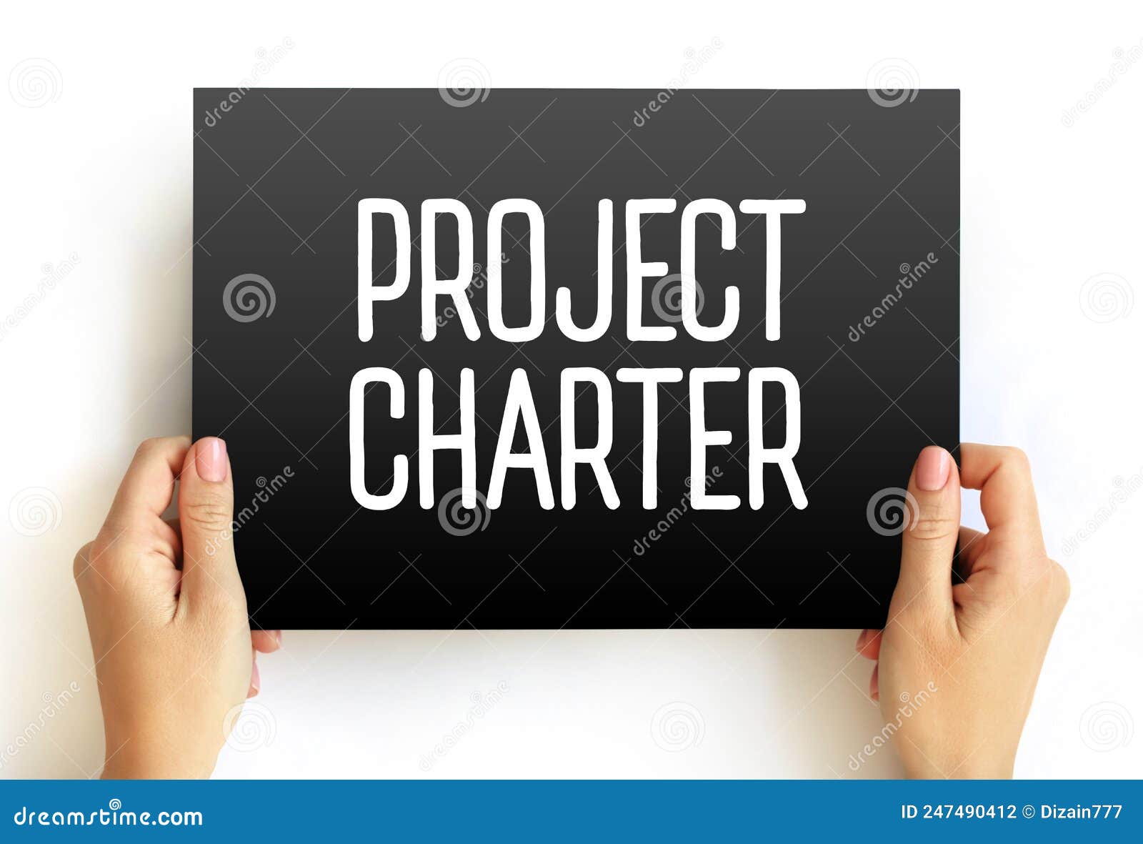 Project Charter - Statement of the Scope, Objectives, and Participants ...