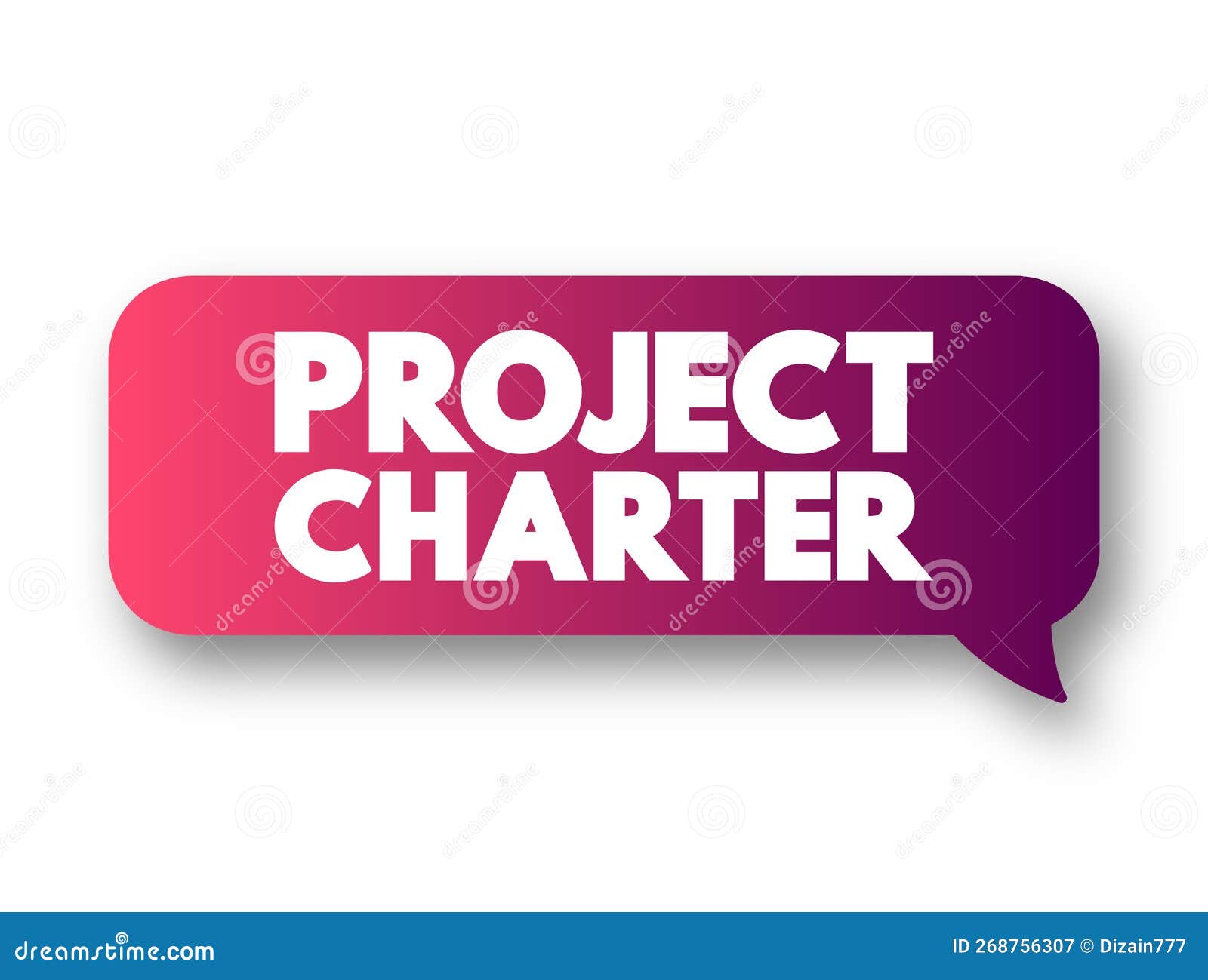 Project Charter - Statement of the Scope, Objectives, and Participants ...