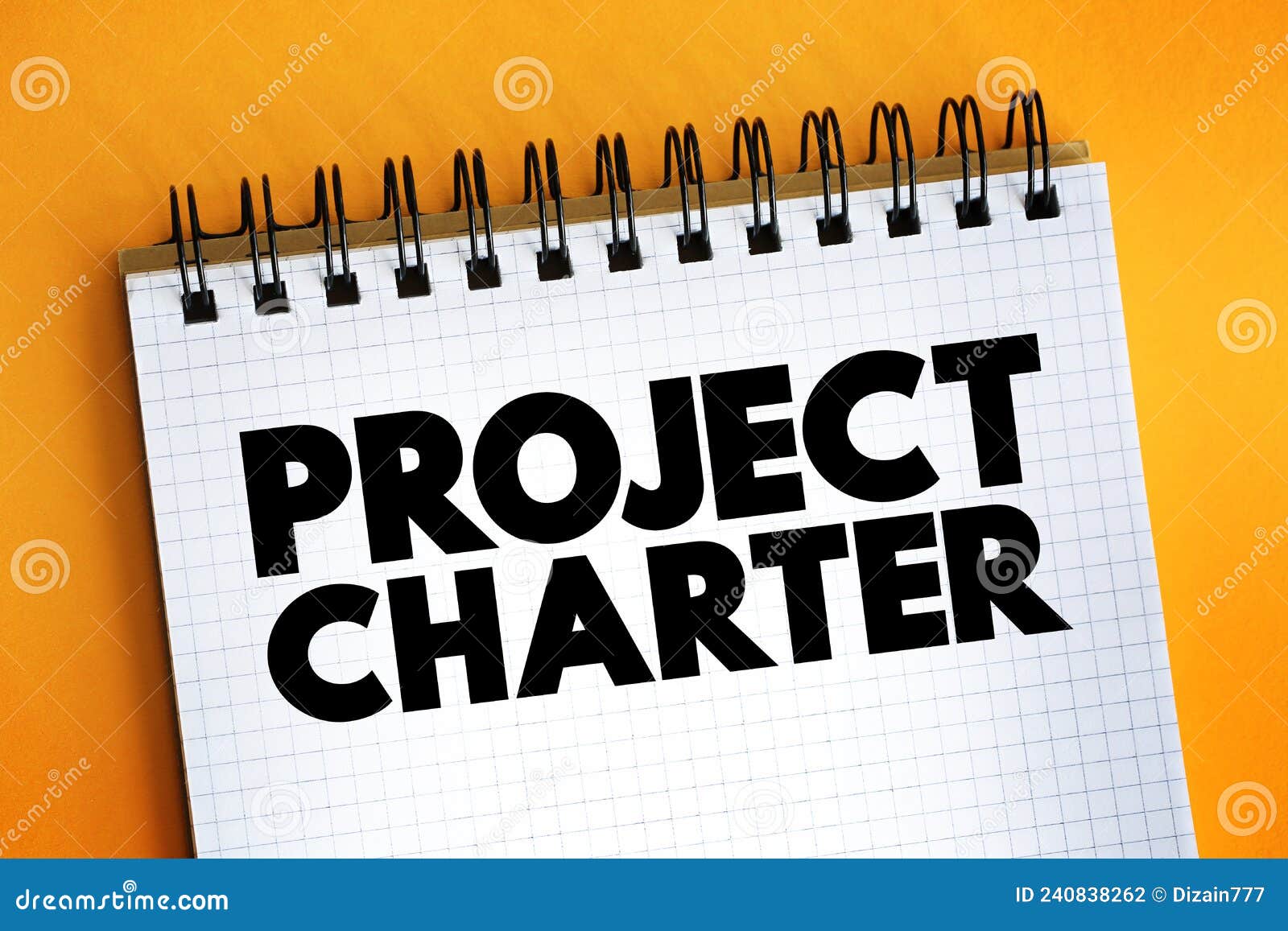 Project Charter - Statement of the Scope, Objectives, and Participants ...