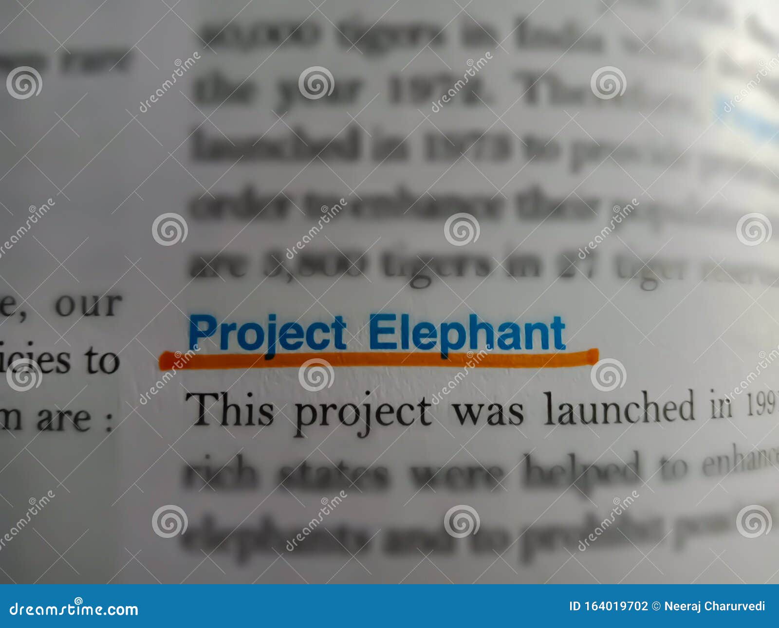 Project Elephant Text Written on Paper Page with Text Underlined ...