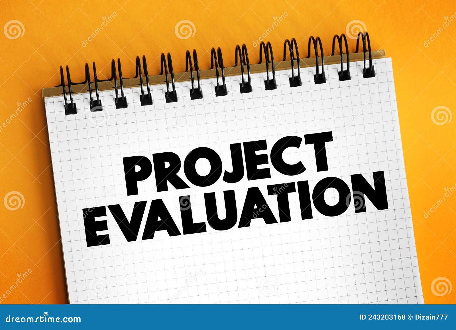 Project Evaluation - Systematic and Objective Assessment of an Ongoing ...