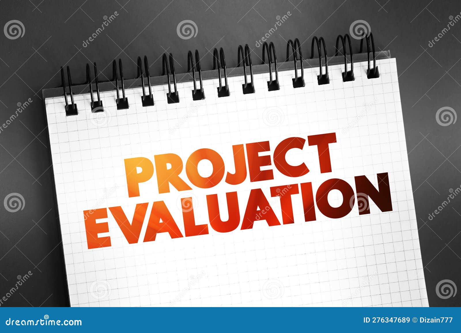 Project Evaluation - Systematic and Objective Assessment of an Ongoing ...