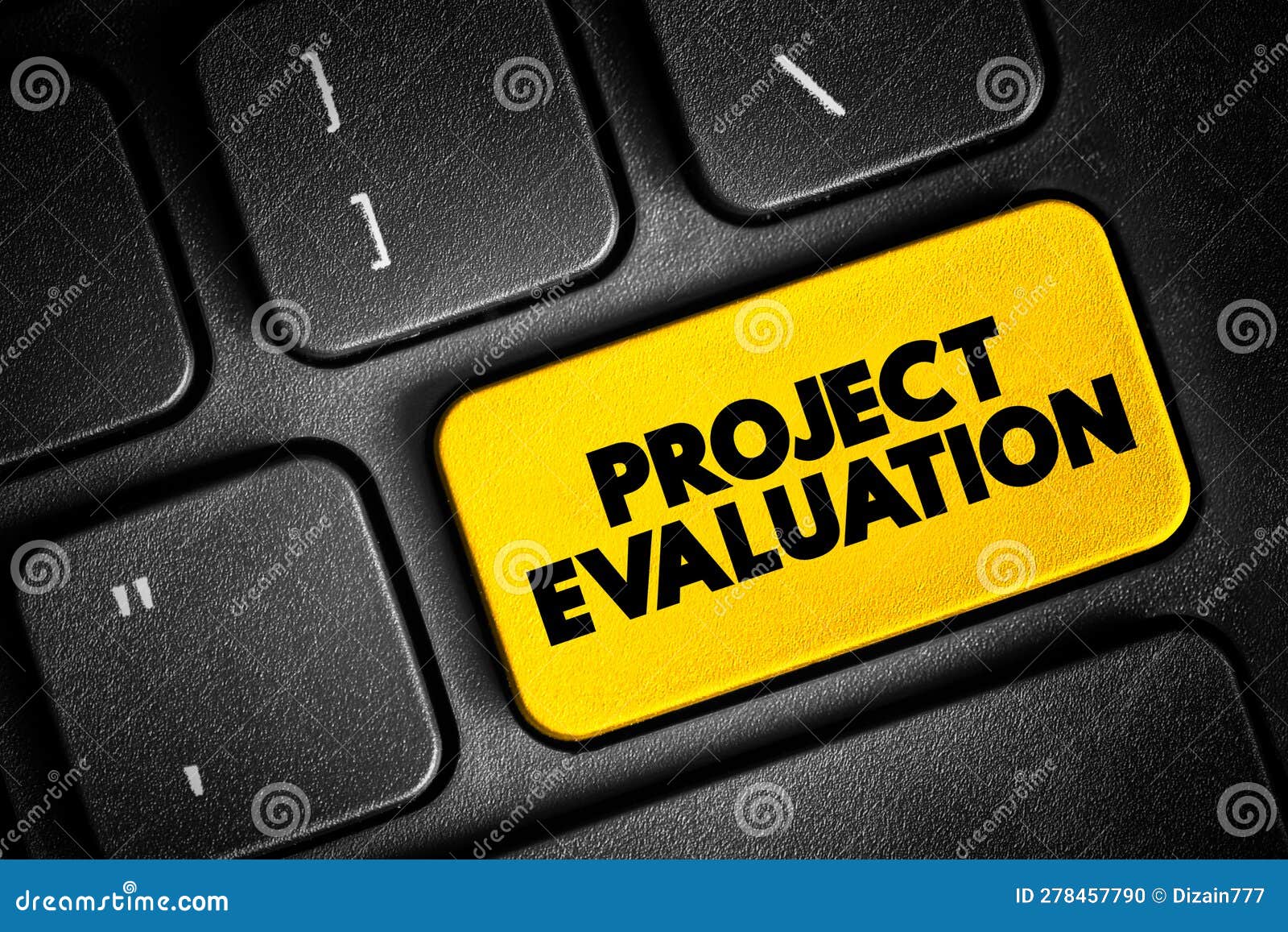 Project Evaluation - Systematic and Objective Assessment of an Ongoing ...