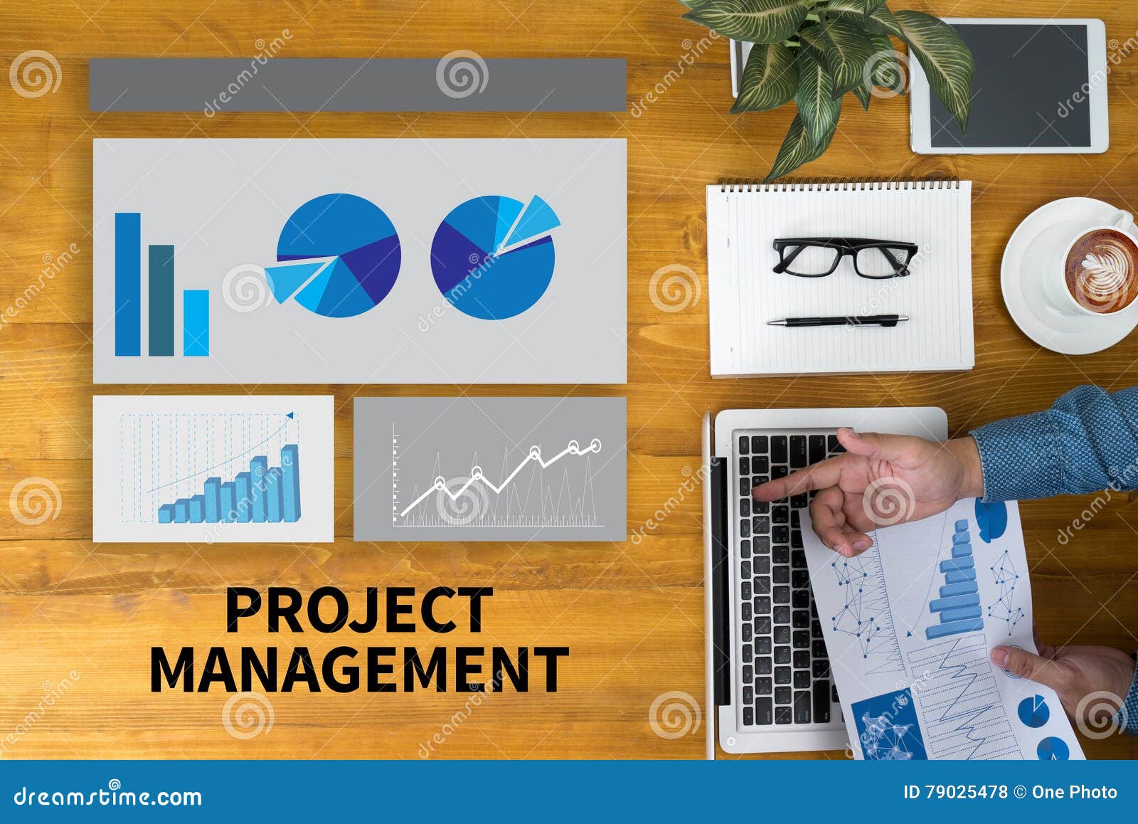 PROJECT MANAGEMENT stock photo. Image of corporate, group - 79025478