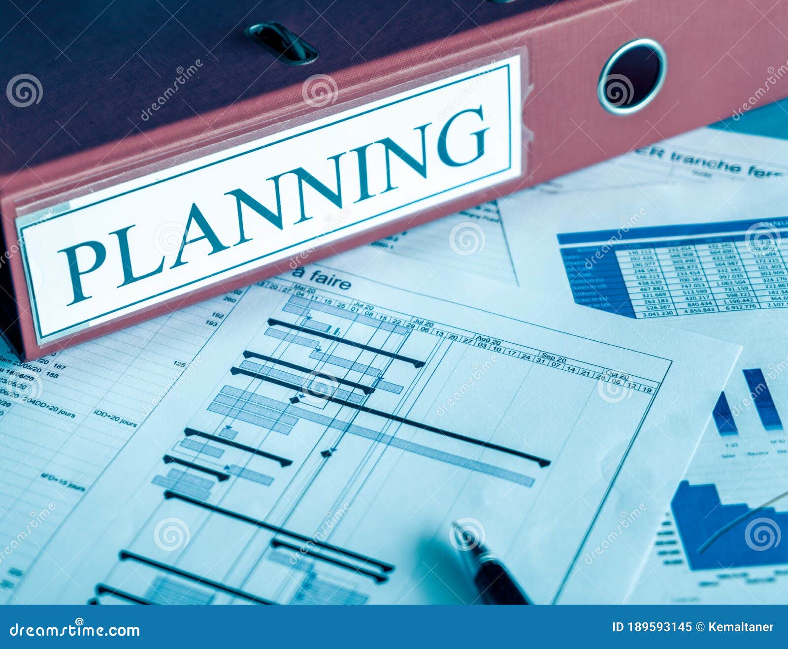 Project management stock image. Image of chart, designer - 189593145