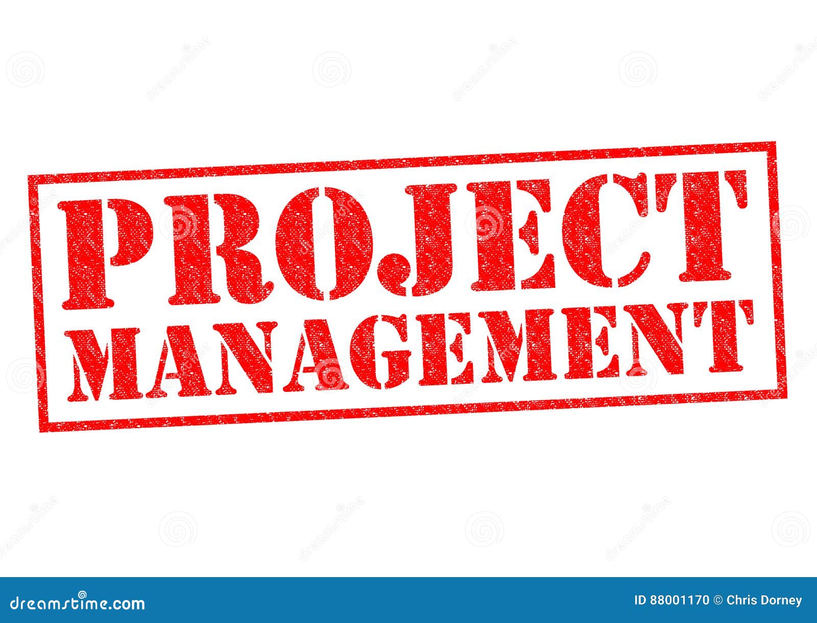 PROJECT MANAGEMENT stock illustration. Illustration of blueprint - 88001170