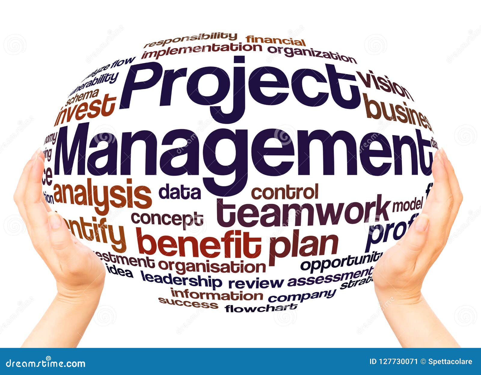 Project Management Word Cloud Hand Sphere Concept Stock Image - Image ...