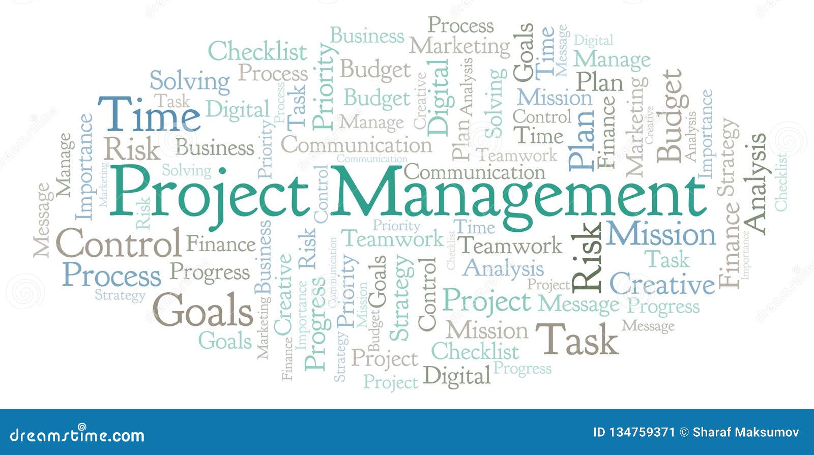 Project Management Word Cloud, Made with Text only Stock Illustration ...