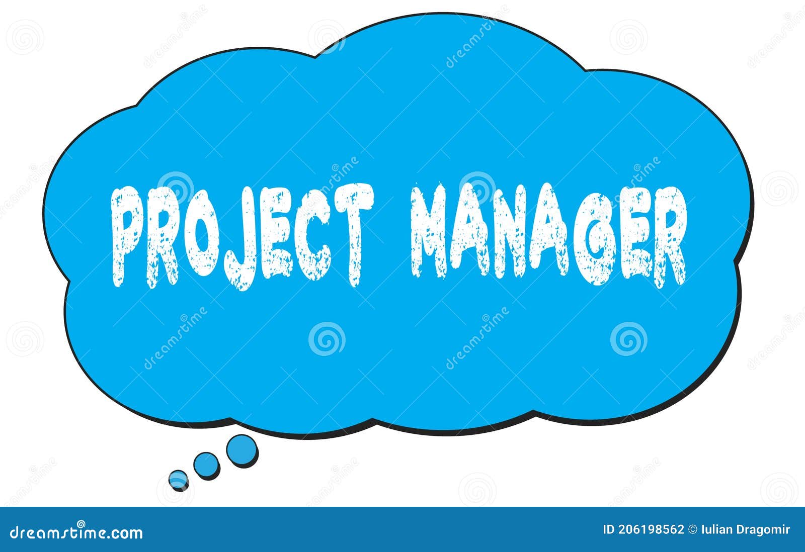PROJECT MANAGER Text Written on a Blue Thought Bubble Stock ...