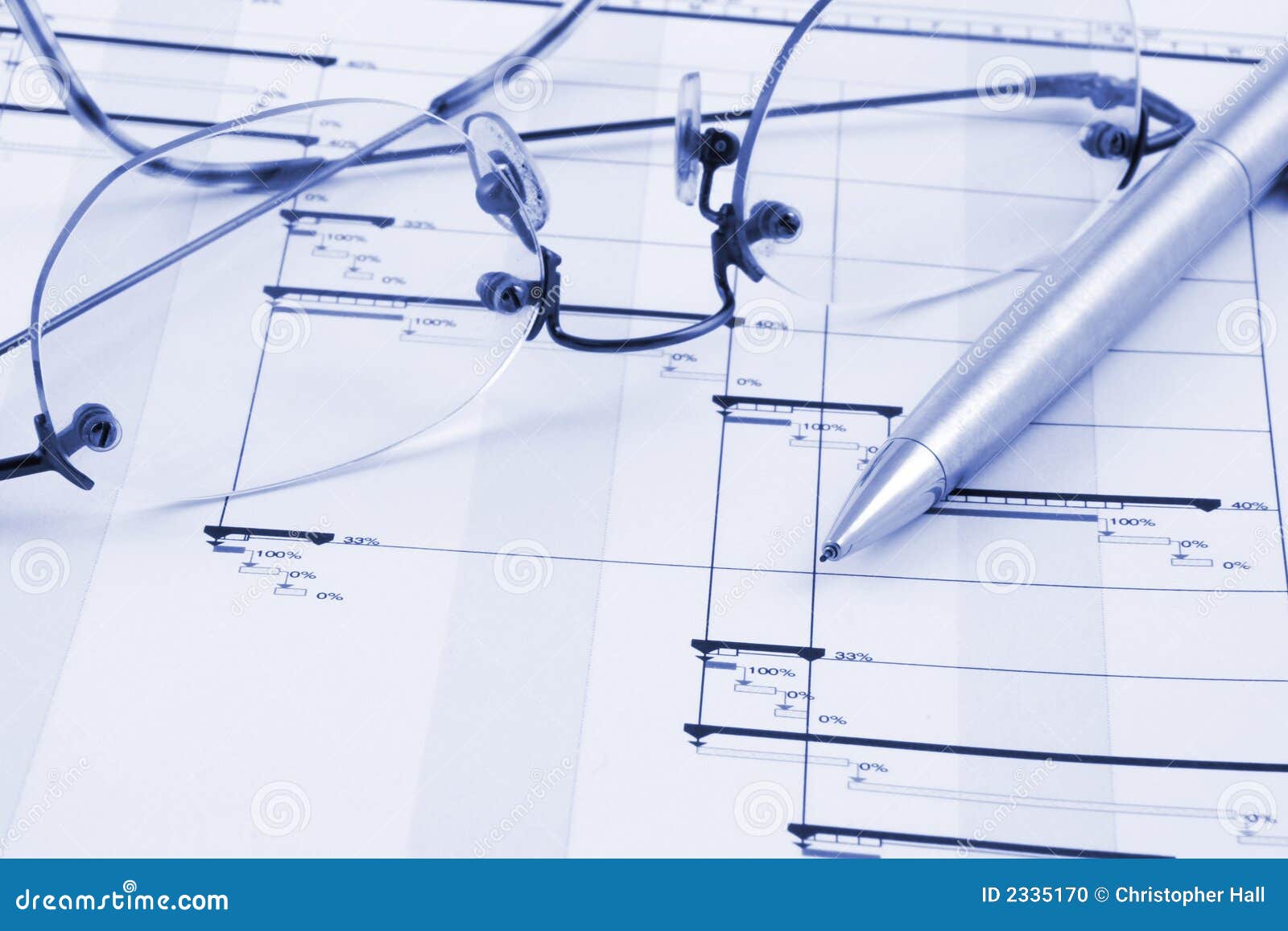 Project Plan Concepts. Blank Business Planning Chart Form. Details Of ...
