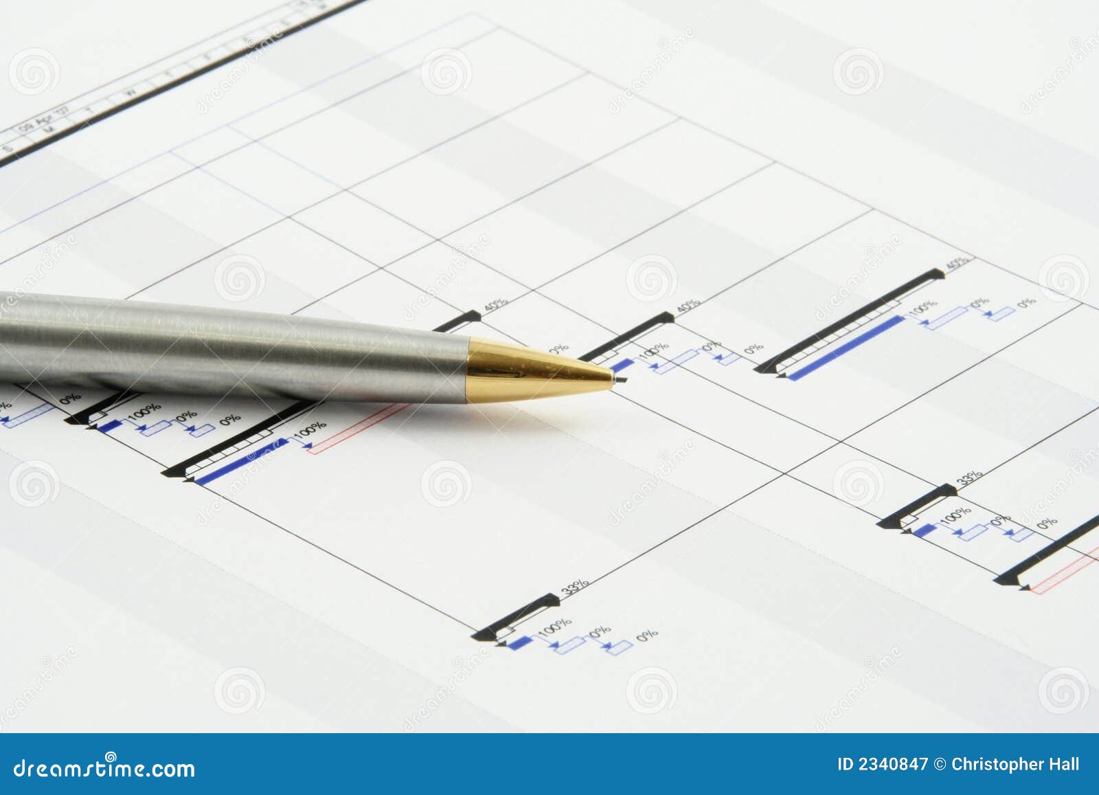 Project Plan Concepts. Blank Business Planning Chart Form. Details Of ...