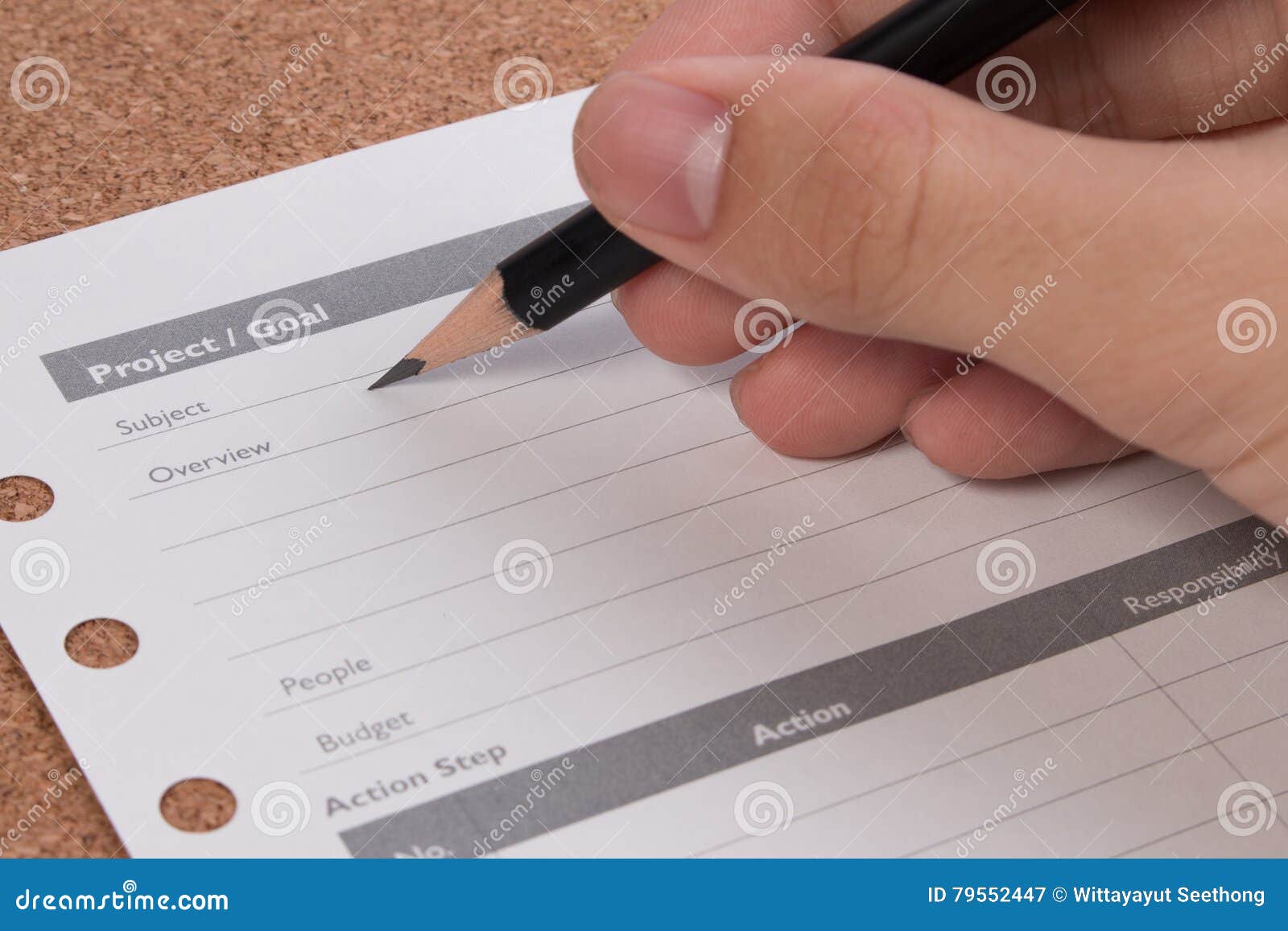 Project Plan Concepts. Blank Business Planning Chart Form. Details Of ...