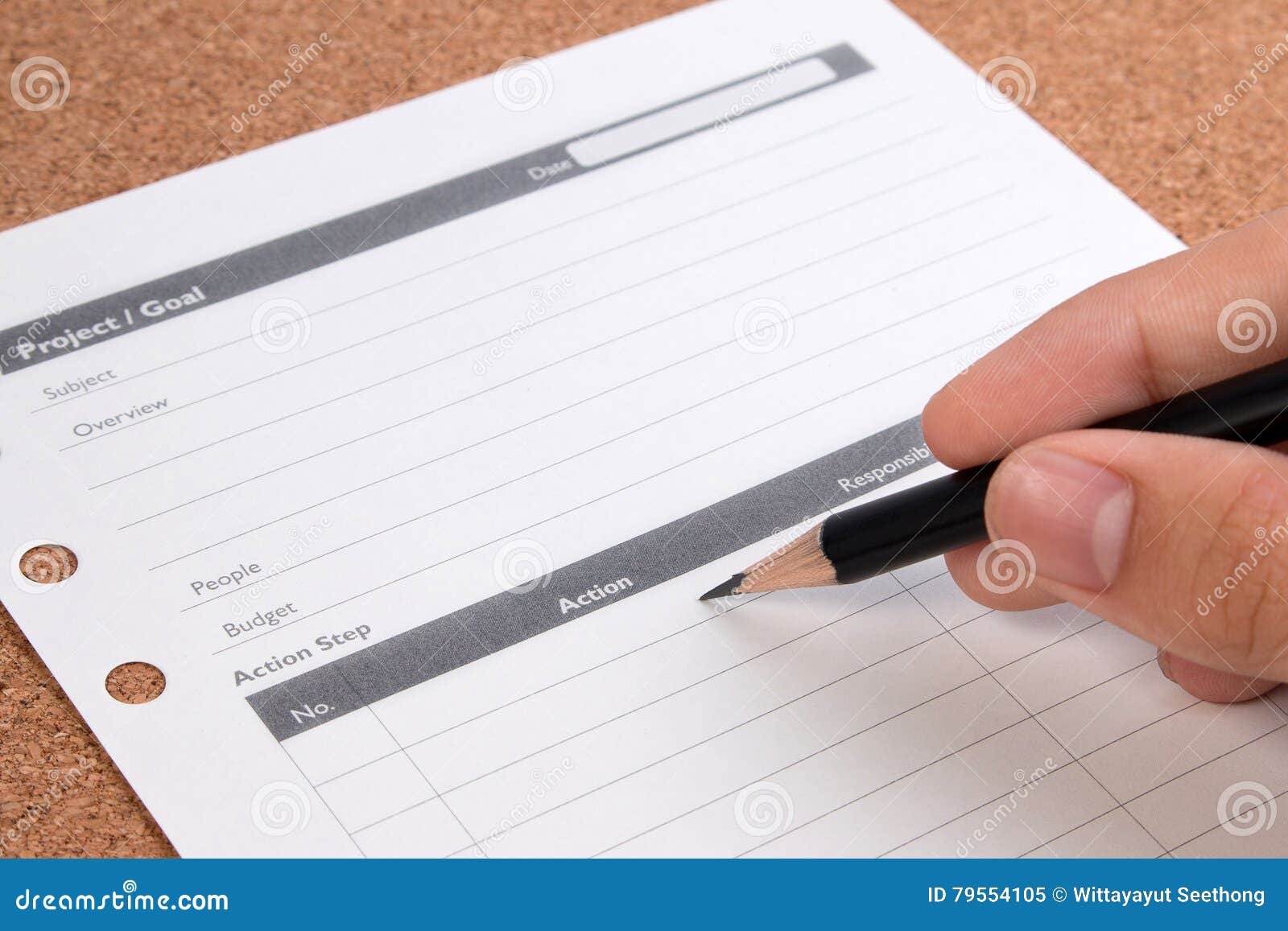 Project Plan Concepts. Blank Business Planning Chart Form. Details Of ...