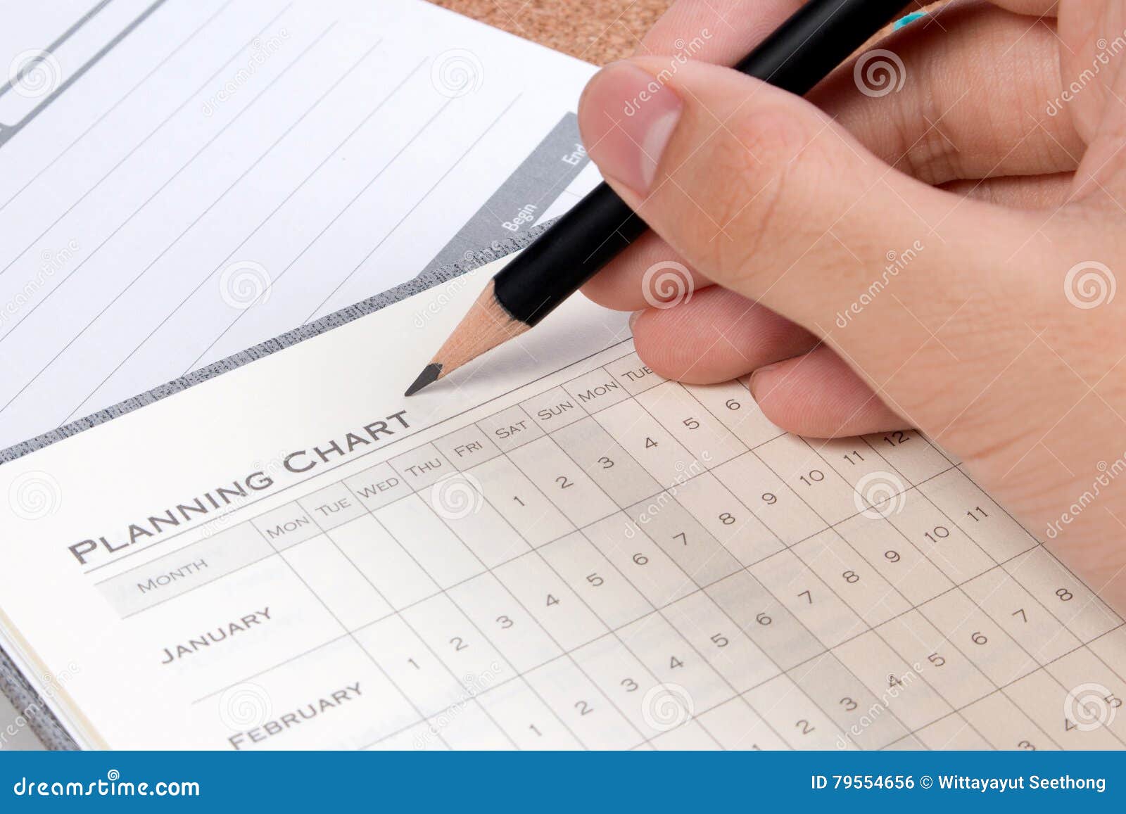 Project Plan Concepts. Blank Business Planning Chart Form. Details Of ...